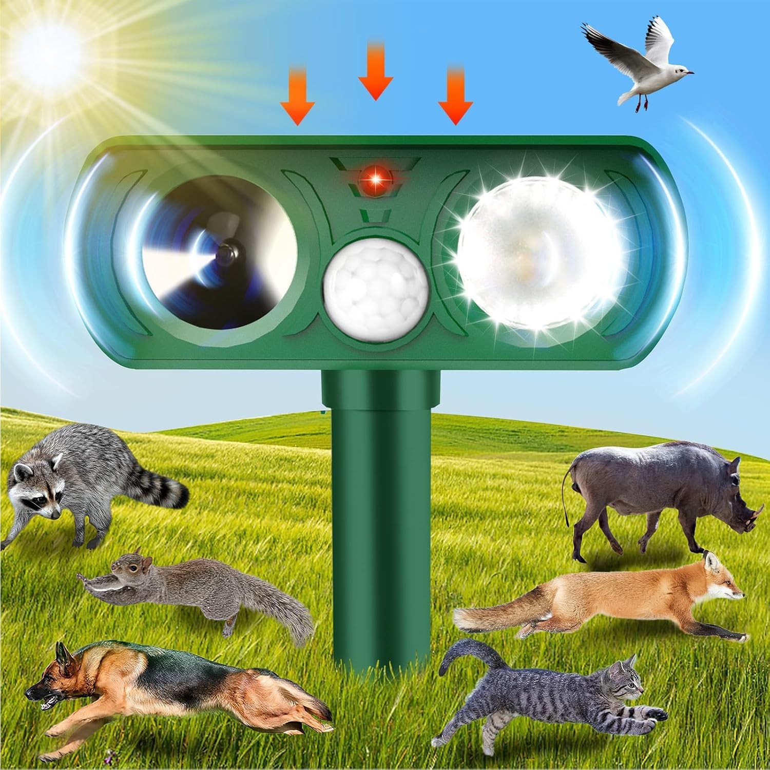Amazon.com: Ultrasonic Animal Repeller Solar Powered Squirrel Repeller ...