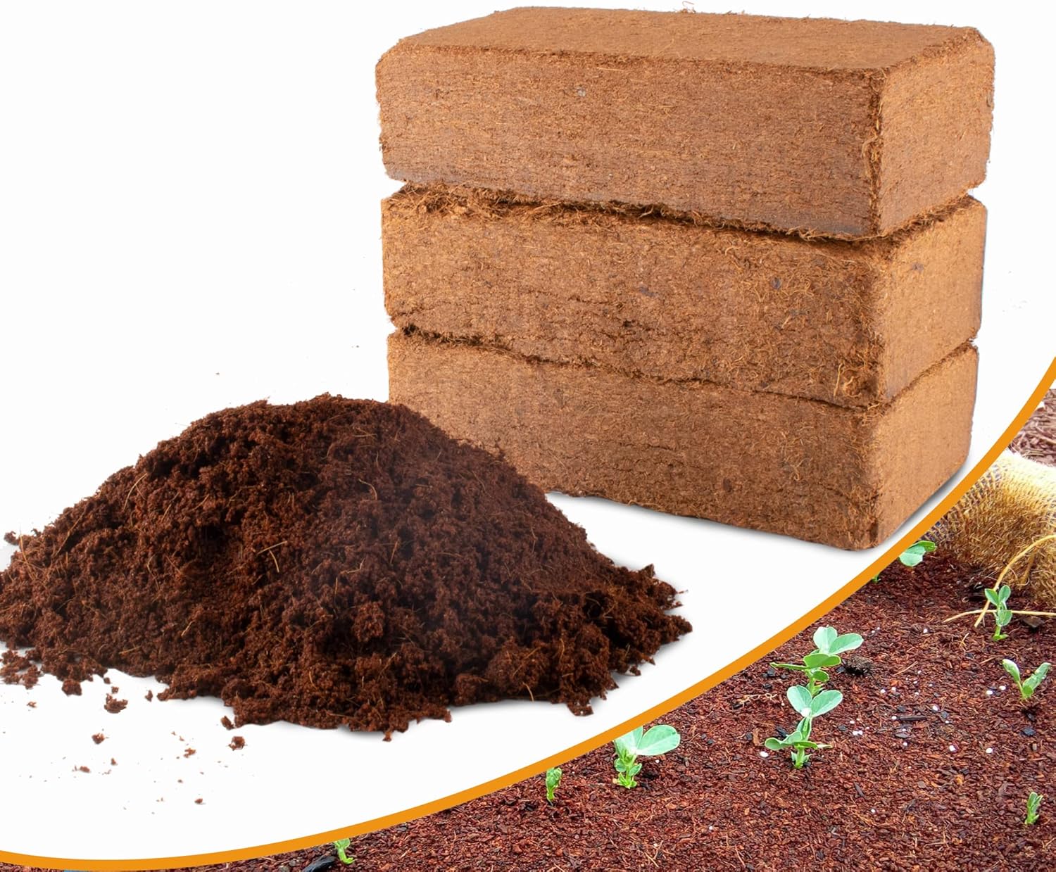 Amazon.com : 3-Pack Coco Coir Bricks, Premium Organic Peat Moss Mix for ...