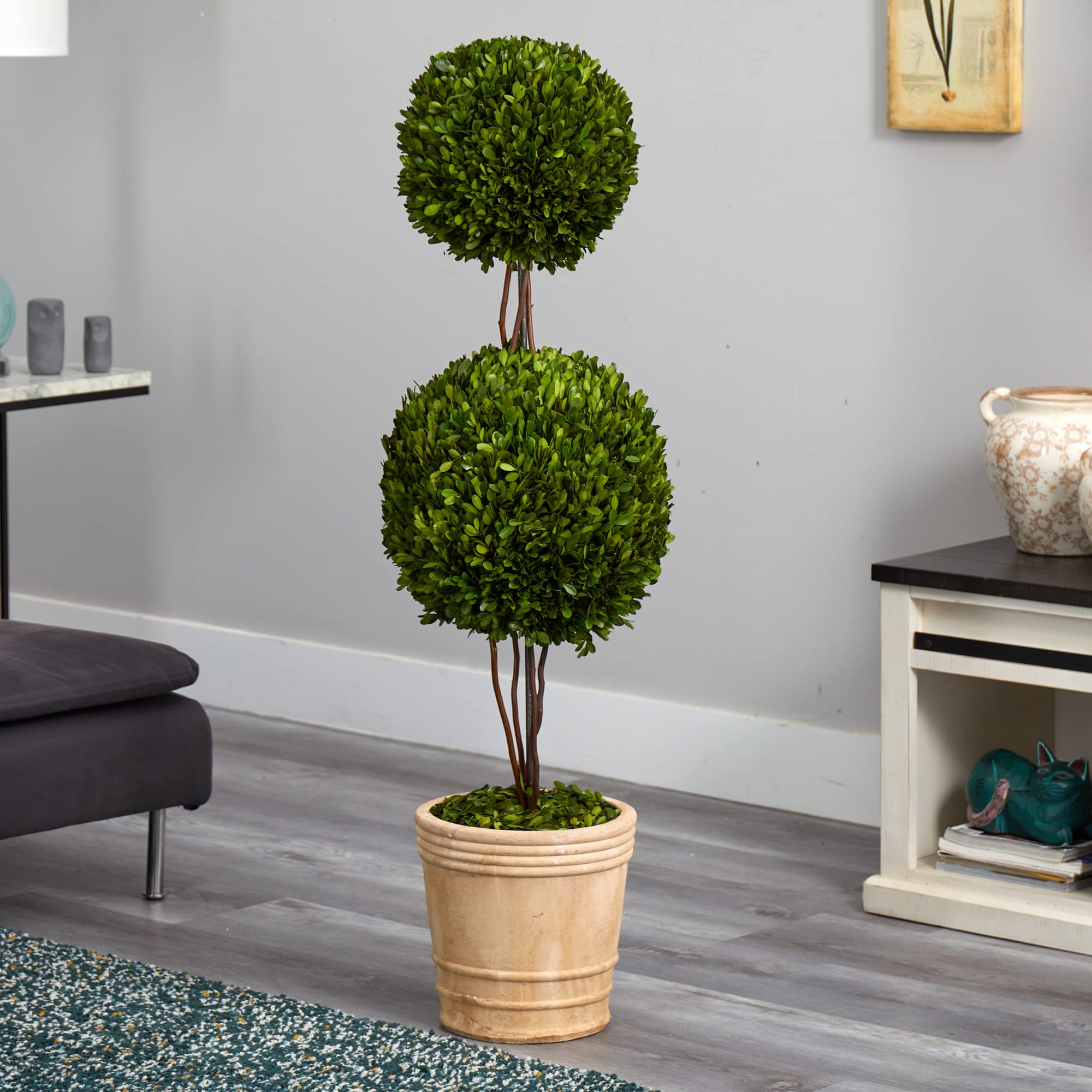 Live Boxwood Topiary