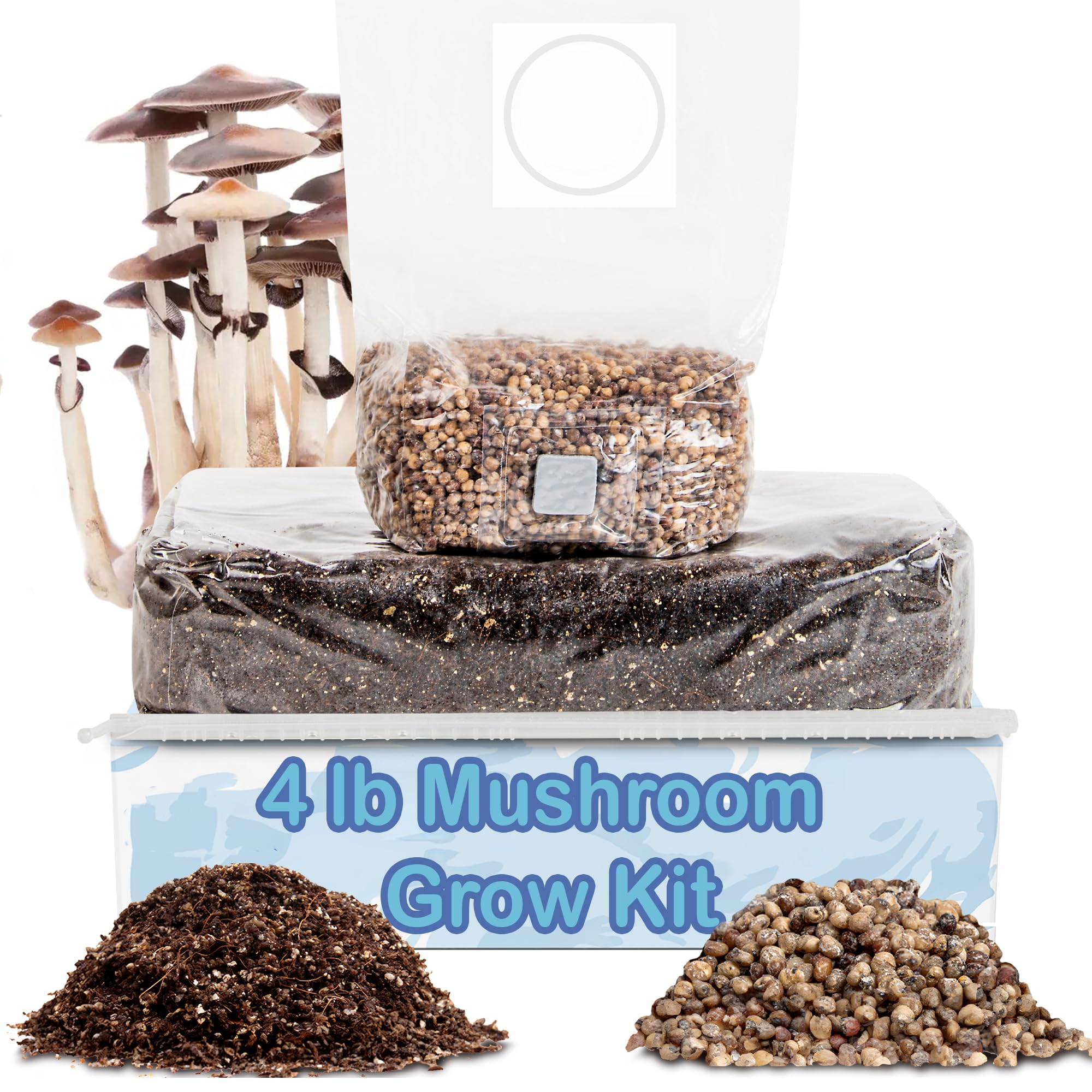 Amazon.com : Surfin' Spores Mushroom Grow Kit | 4 lb Grow-in-Bag Kit ...