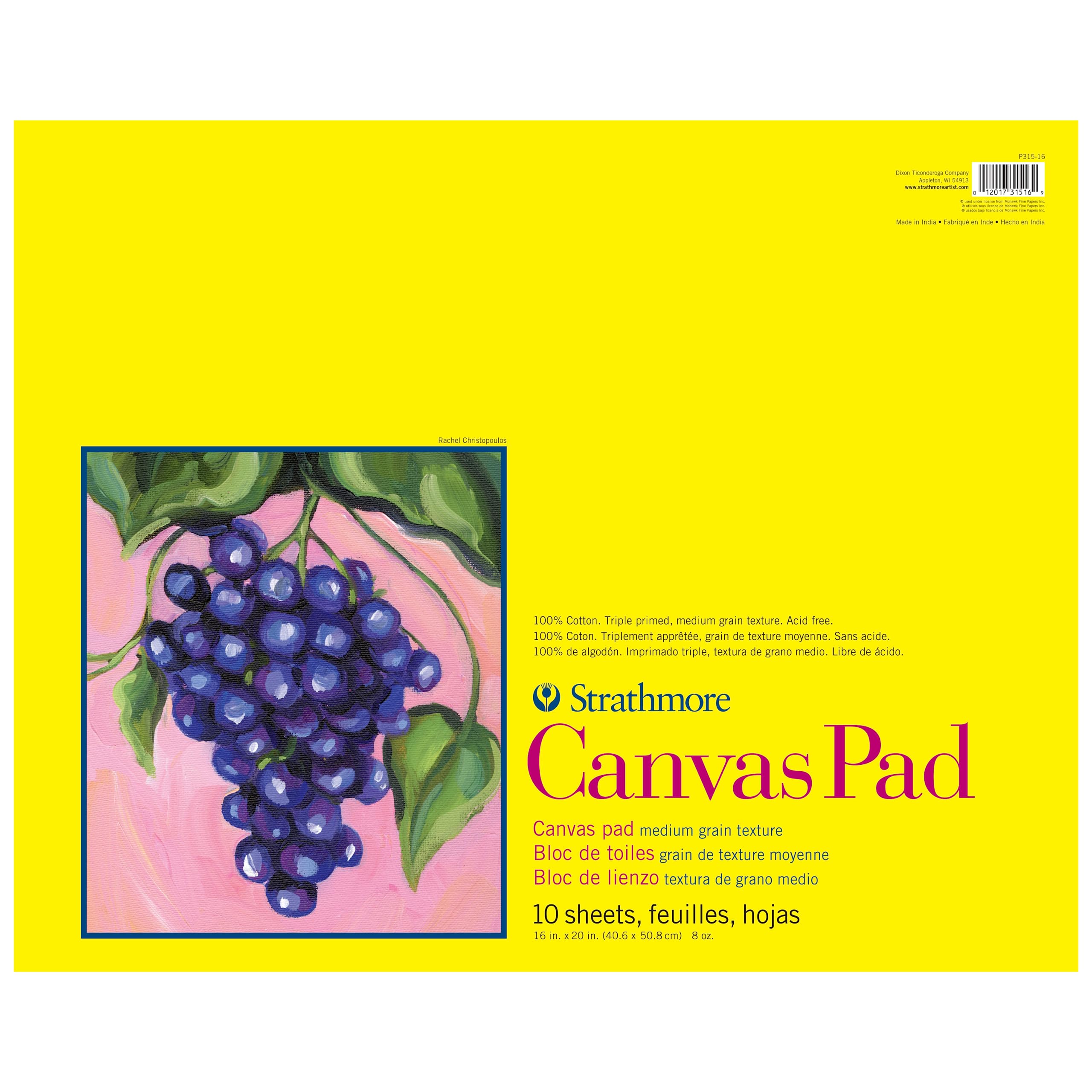 Amazon.com: Strathmore 300 Series, Canvas Pad, 16x20 inch, 10 Sheets ...