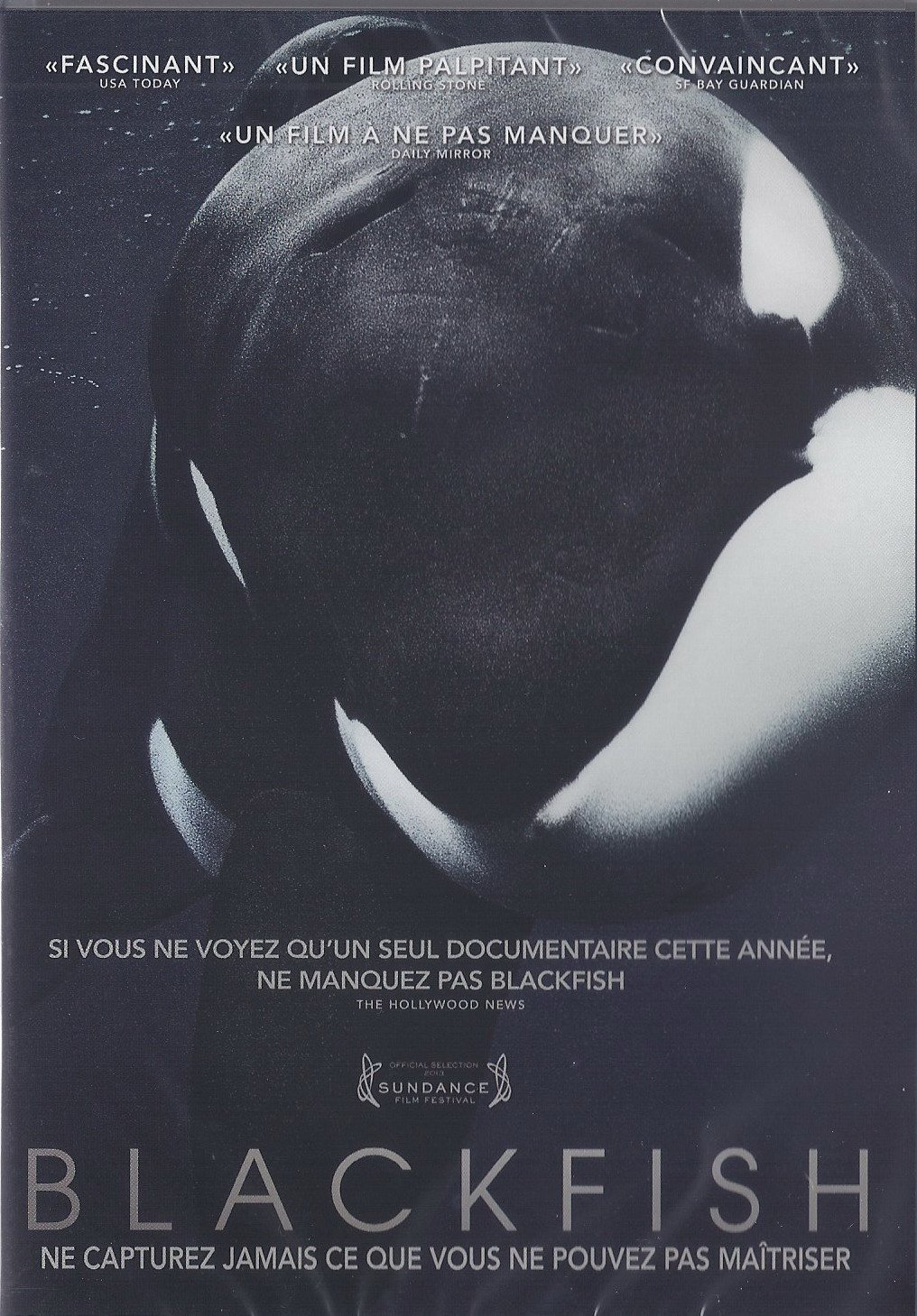 Blackfish Cover End Stage Capitalism In Blackfish City | Sci Fi Blog