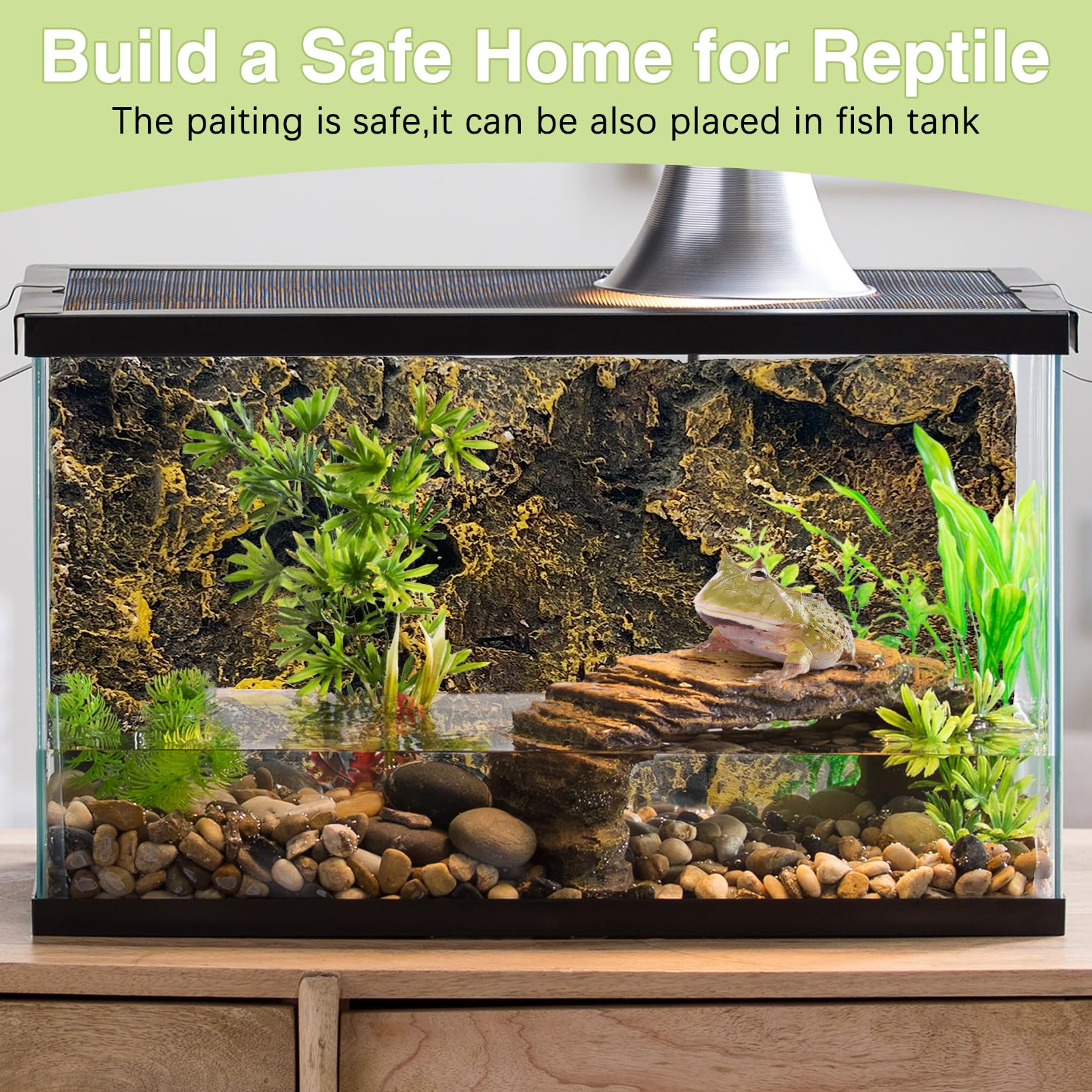 Aquarium Background 3D Rock Terrarium Background - Customizable Habitat ...