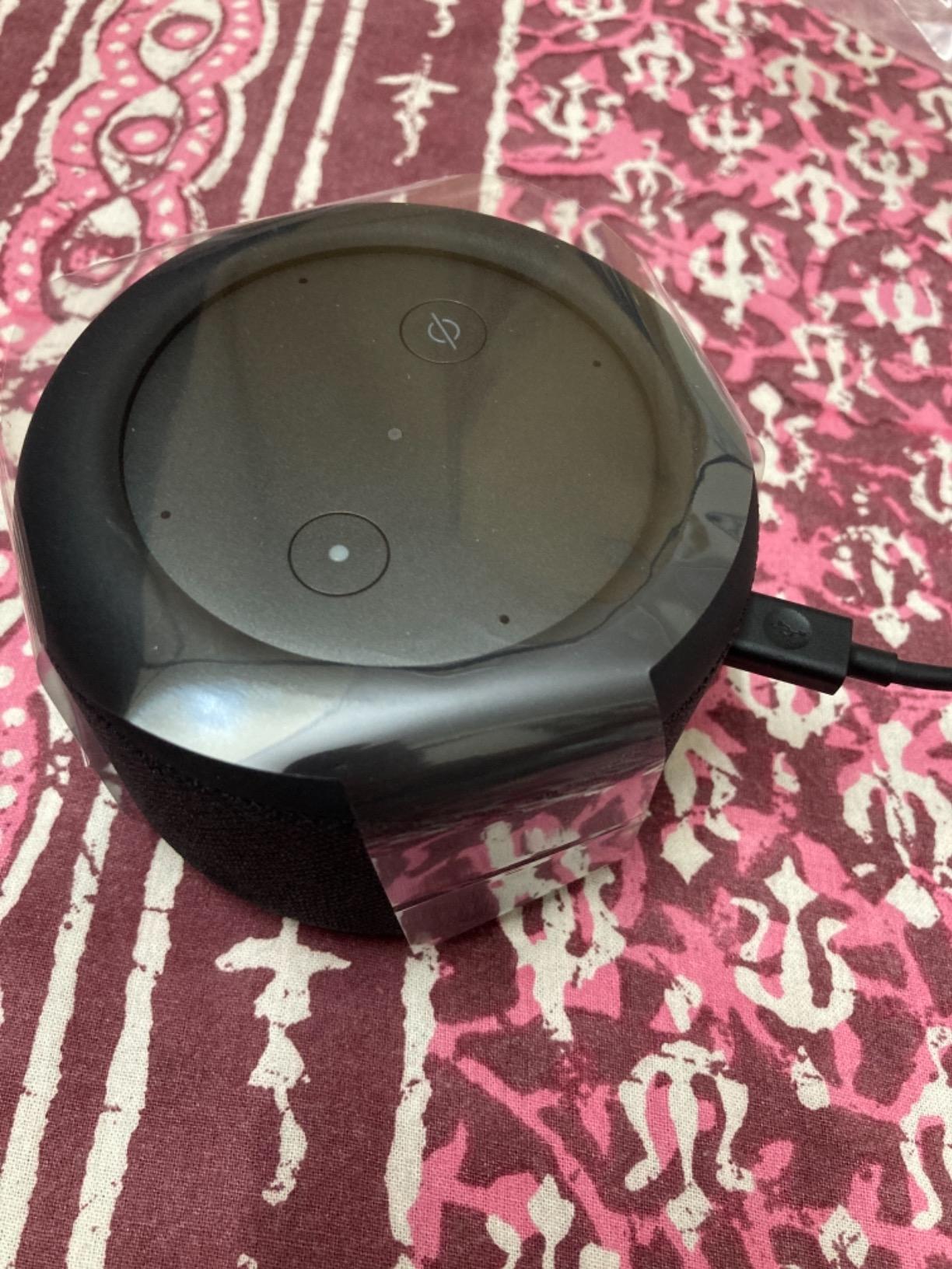 Echo Input Portable Smart Speaker Edition - Carry Echo anywhere in your ...