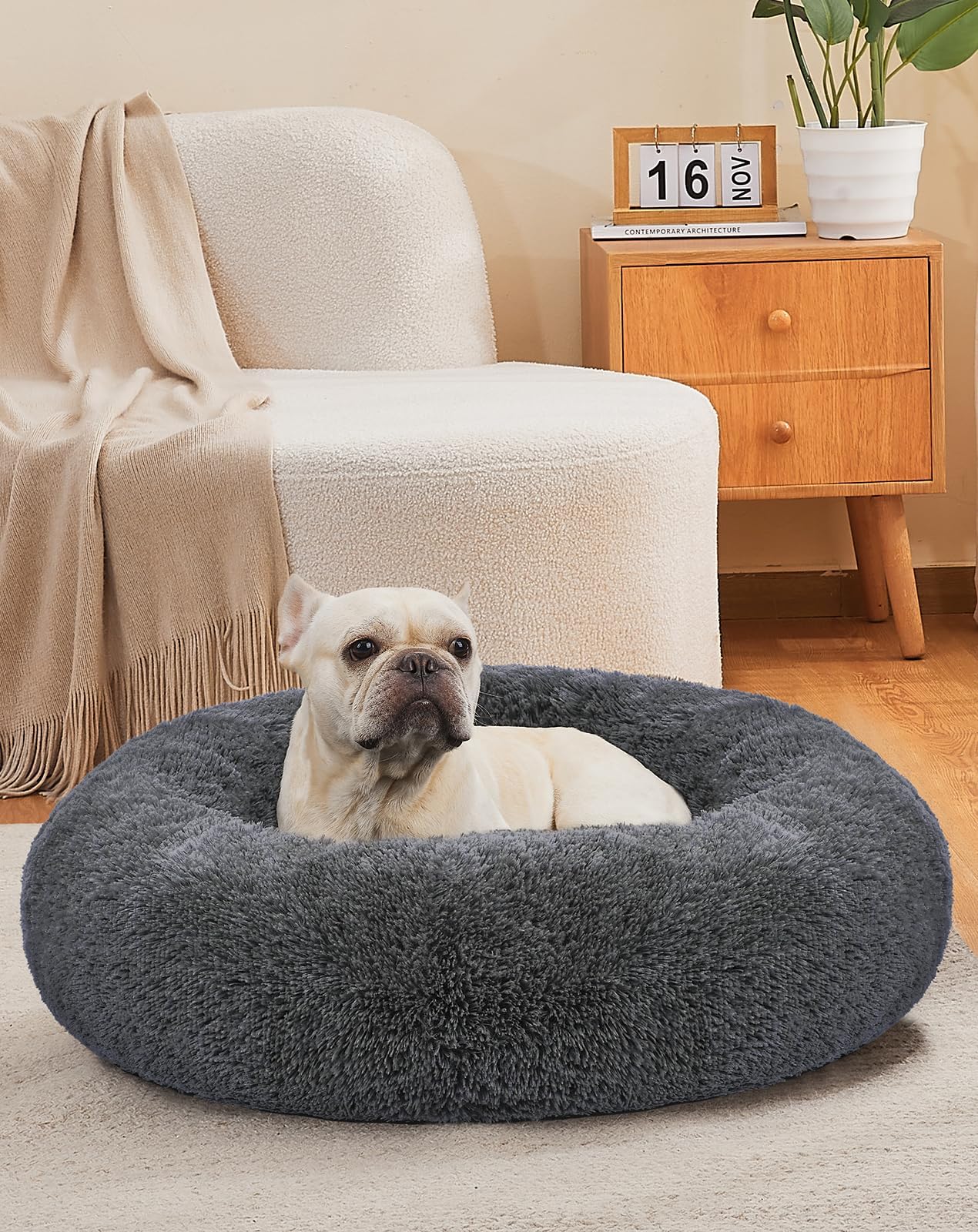Amazon.com : Calming Small Dog Bed & Cat Bed, Donut Fluffy Anti-Anxiety ...
