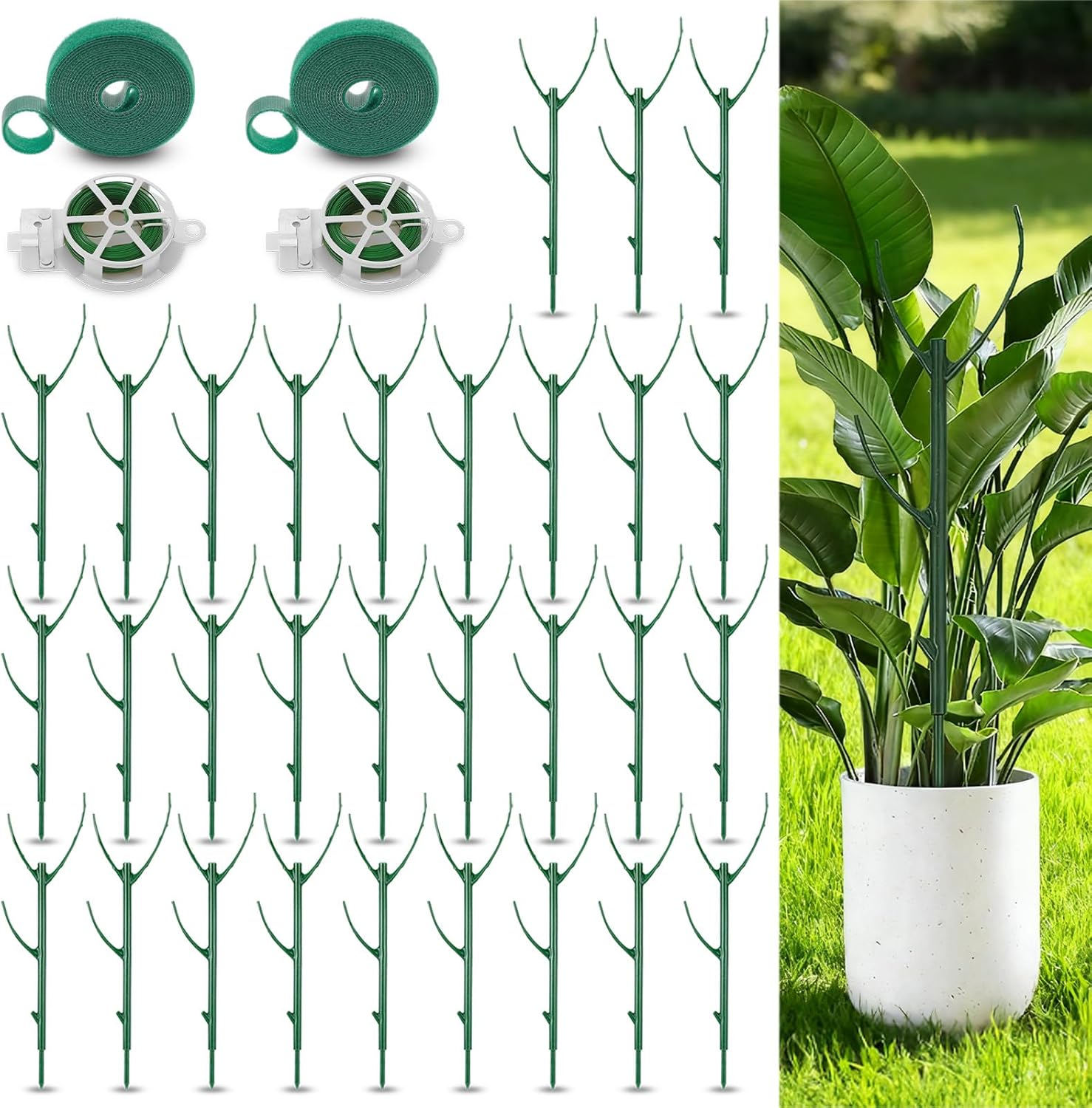 Amazon.com : Qianyu 30 Pack Monstera Plant Support Stackable Plant ...