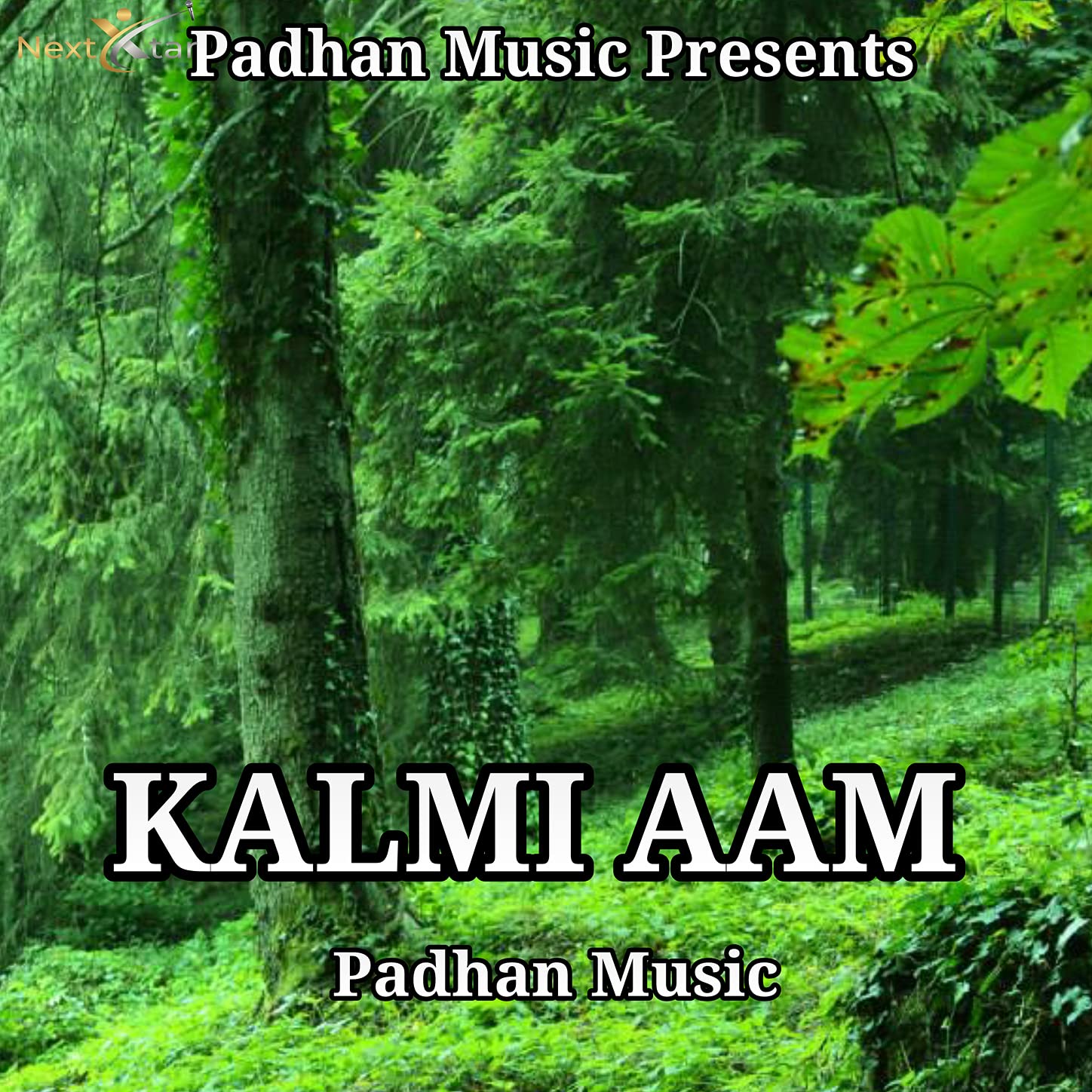 Buy Kalmi Aam Online at desertcartINDIA