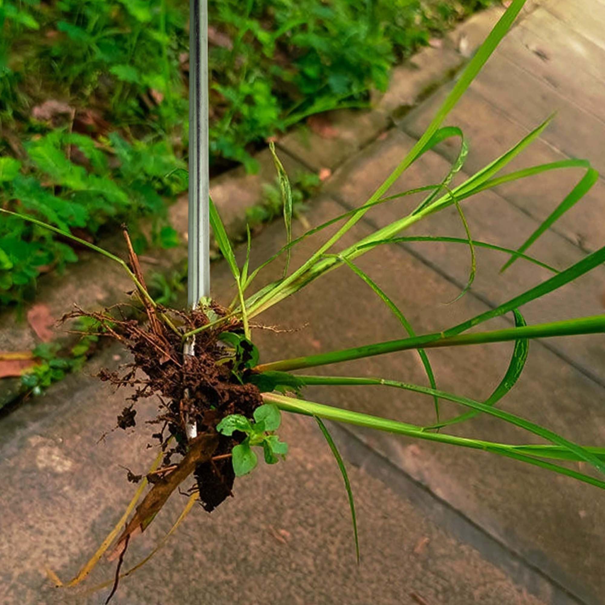 Snapklik.com : Foxmitool Dandelion Weeding Tool For Yarn And Garden ...