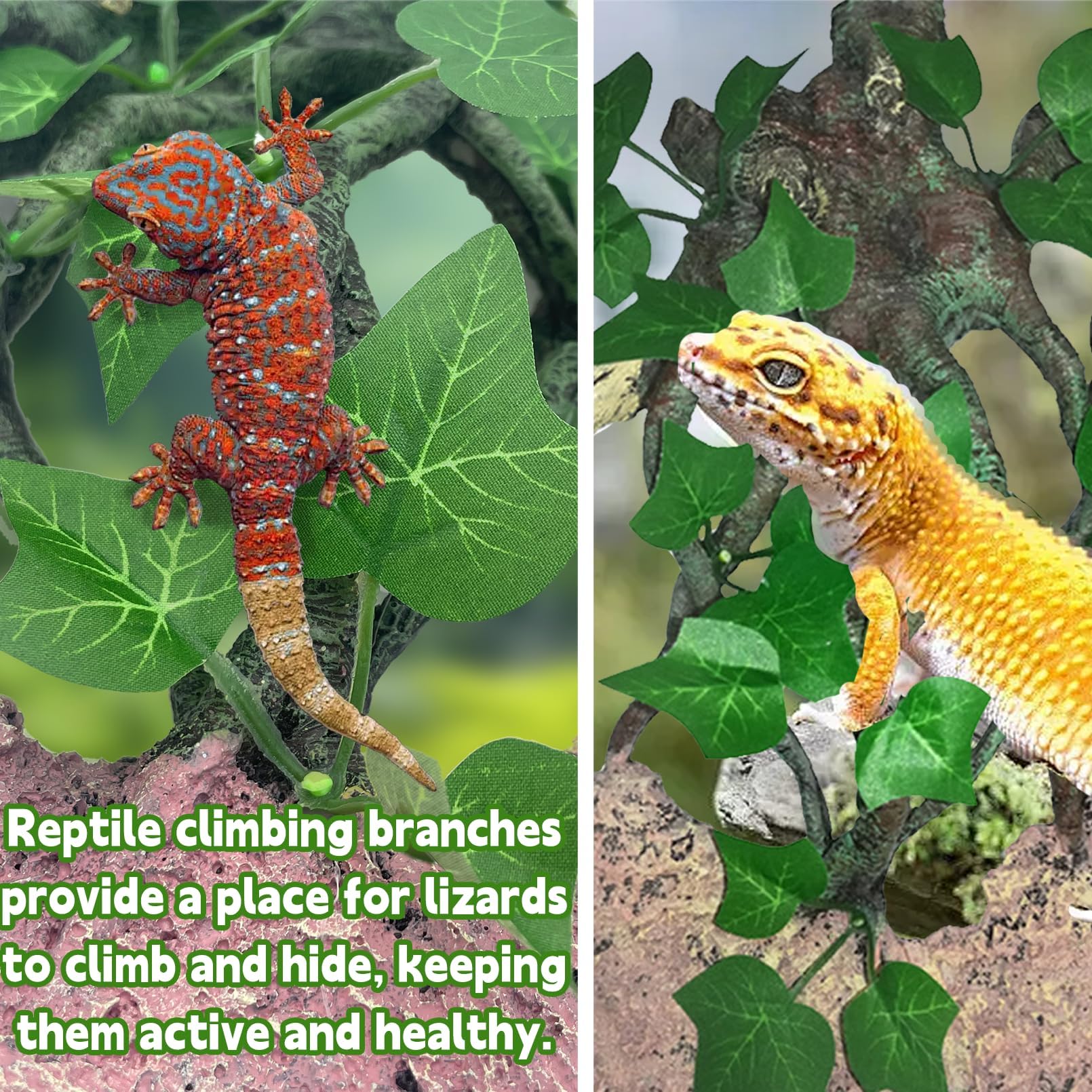 Snapklik.com : Kathson Reptile Corner Branch,Rock Background Decoration ...