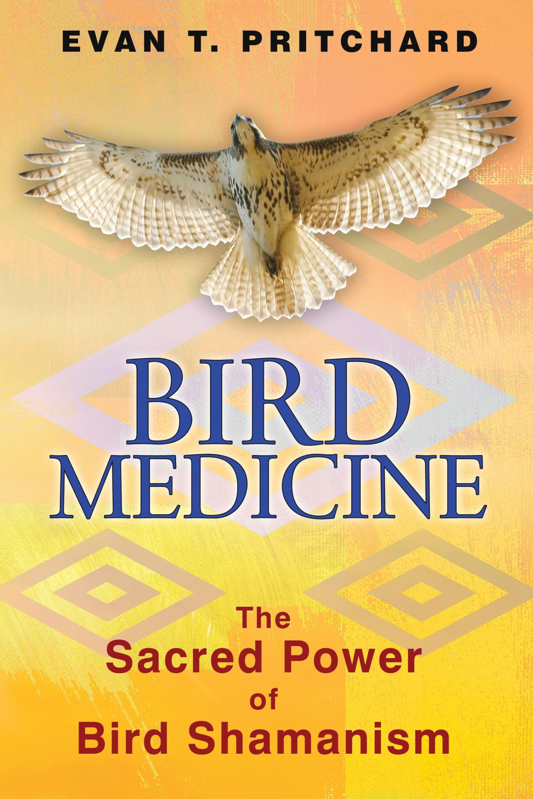 Bird Medicine: The Sacred Power of Bird Shamanism: Pritchard, Evan T ...
