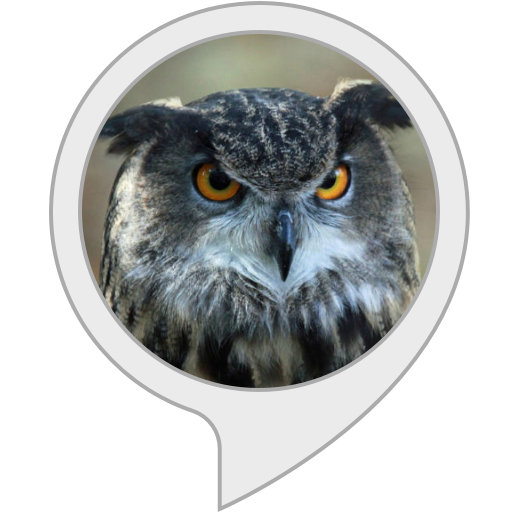 Amazon.com: Bird Facts Daily : Alexa Skills