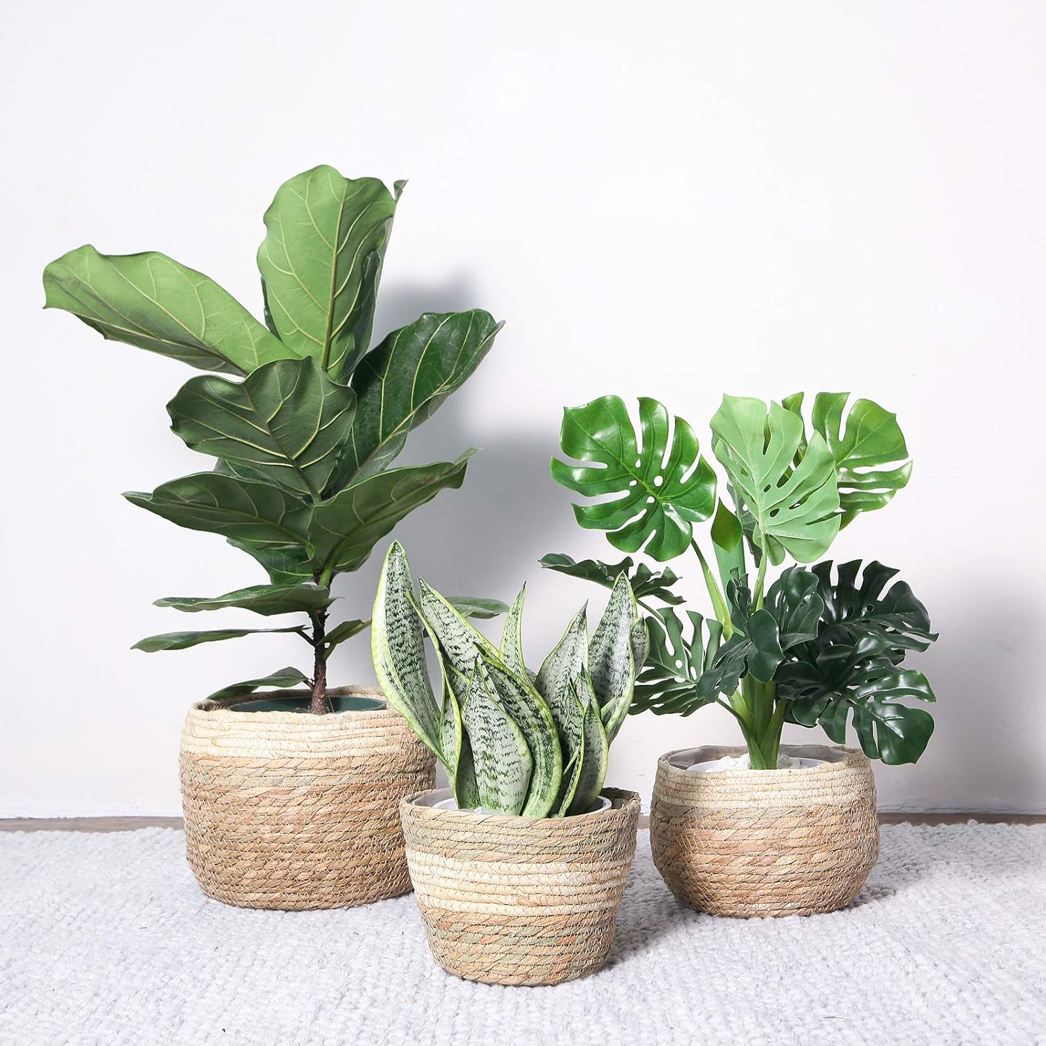Amazon.com : ROSGONIA Seagrass Plant Basket Set of 3- Boho Basket ...
