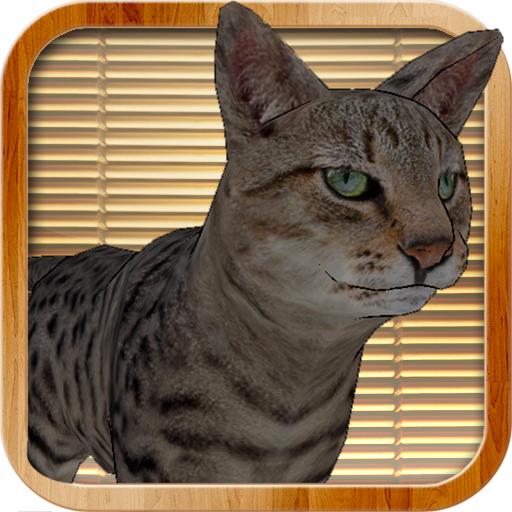 Zen Cat Destroyer Simulator - App on Amazon Appstore