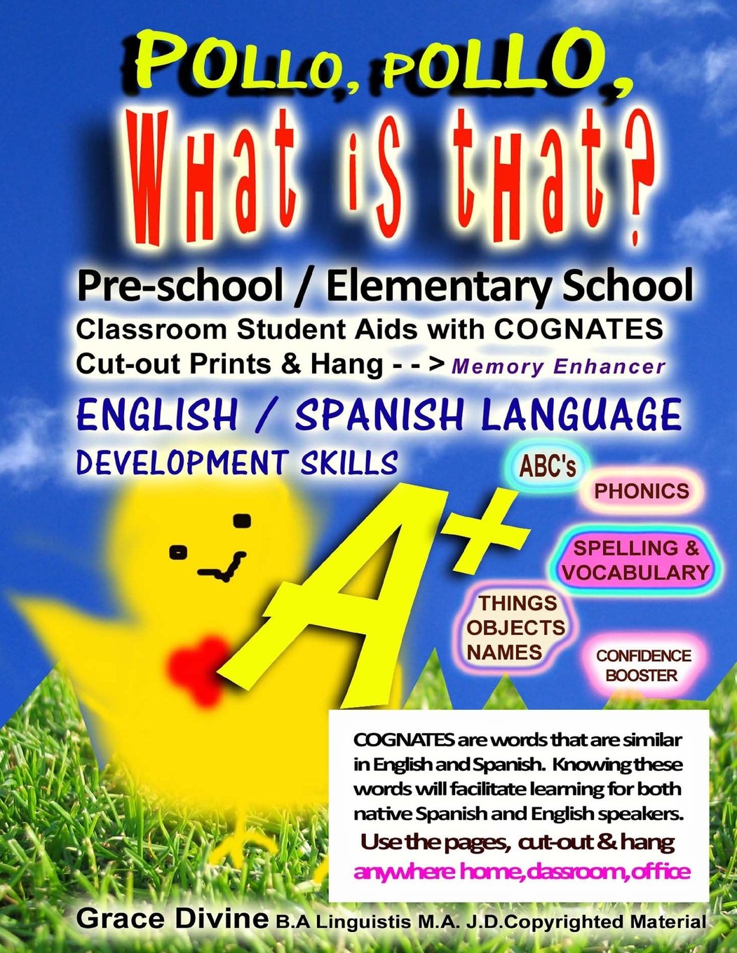 Buy Pollo, Pollo, What is that? Pre-School / Elementary School ...