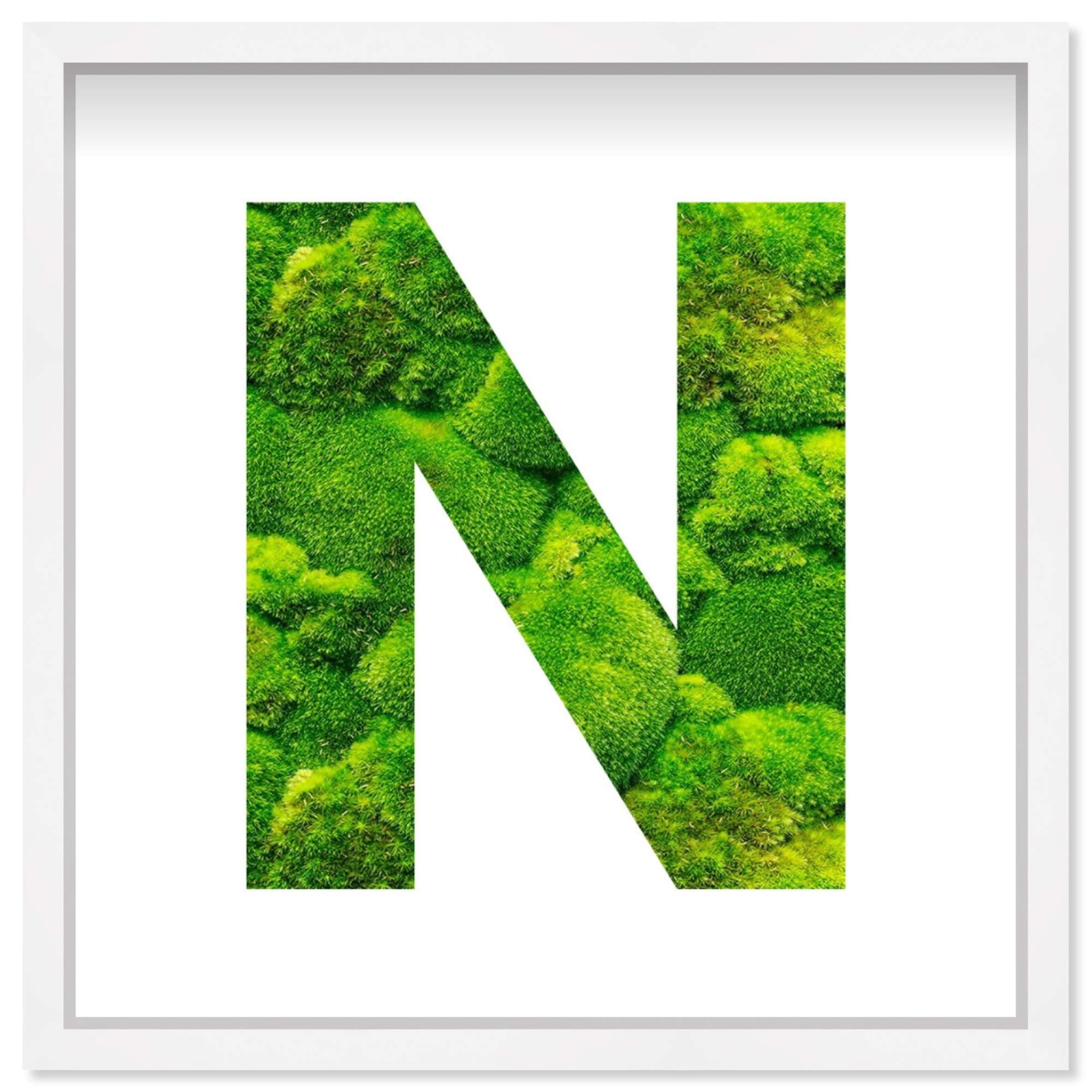 The Letter N In Nature
