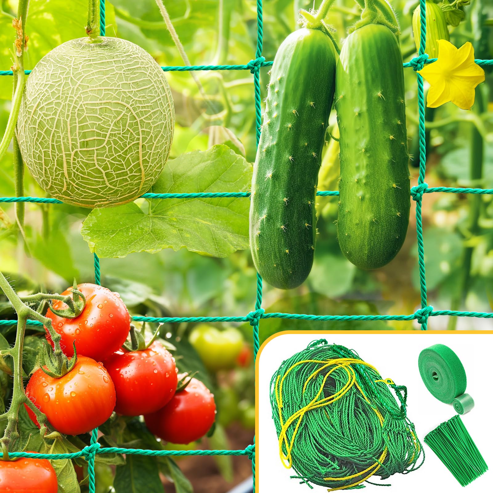 Trellis Netting, 9.85x6.6Ft Garden Trellis Netting for Climbing Plants ...