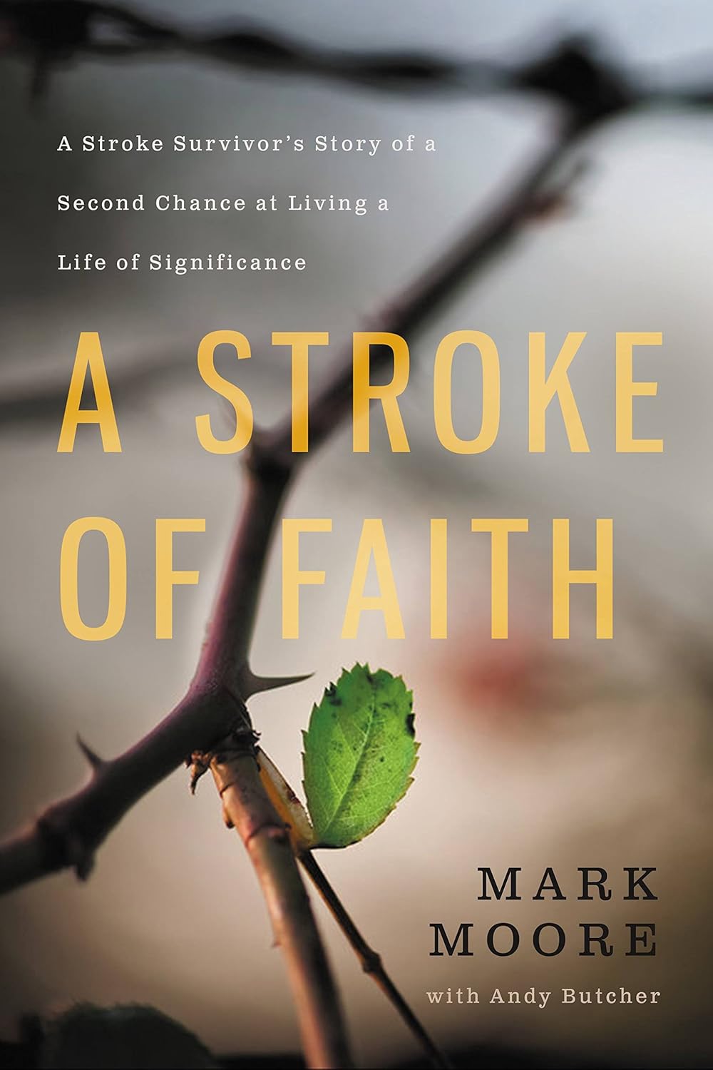 A Stroke of Faith: A Stroke Survivor's Story of a Second Chance at ...
