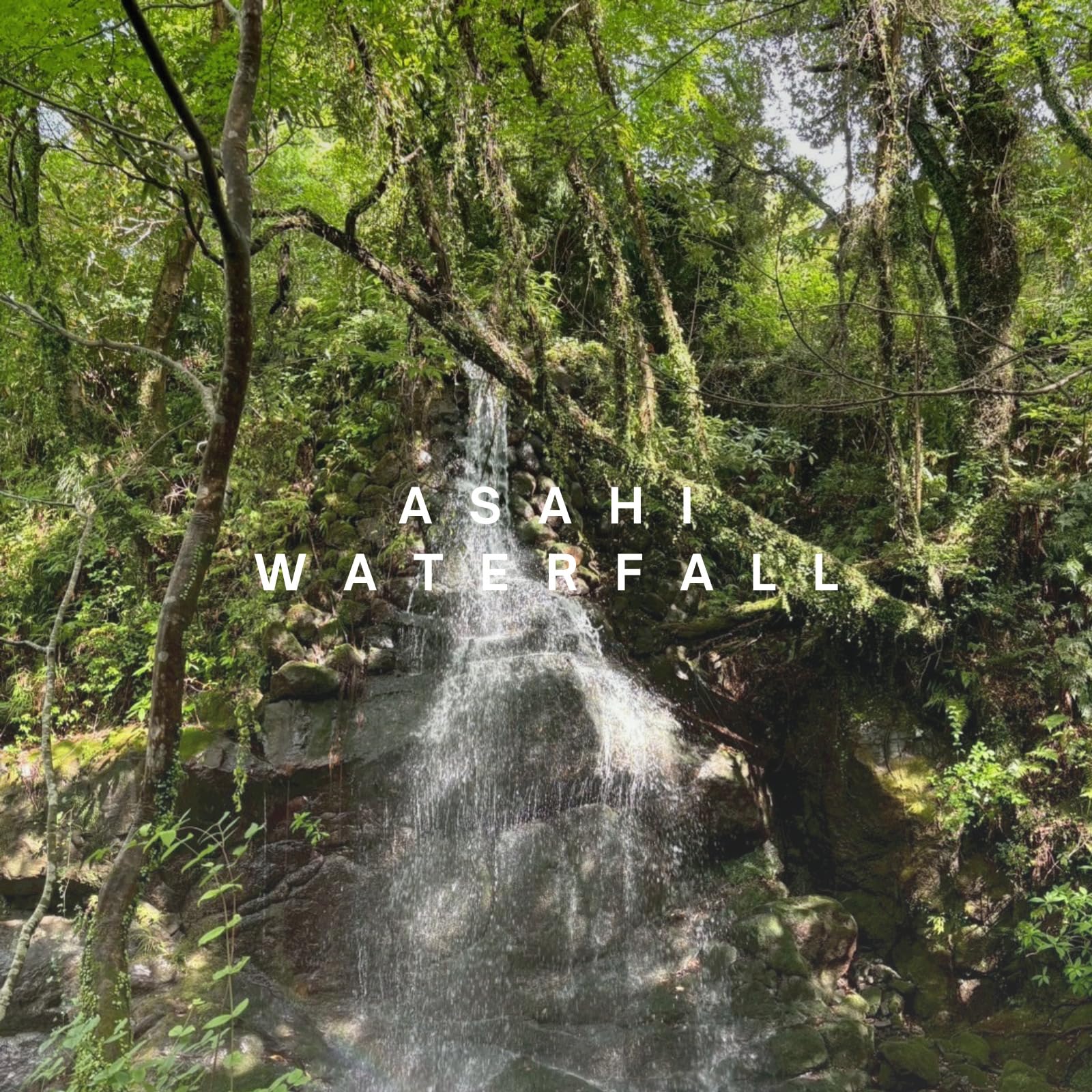 Delta Zen song by The Last Echo from Chromatic Dream Dance on Amazon Music