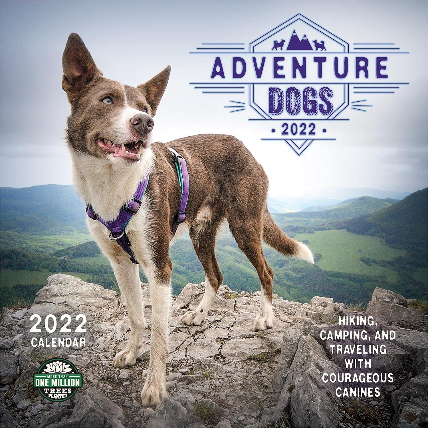 Adventure Dogs 2022 Wall Calendar: Hiking, Camping, and Traveling with ...
