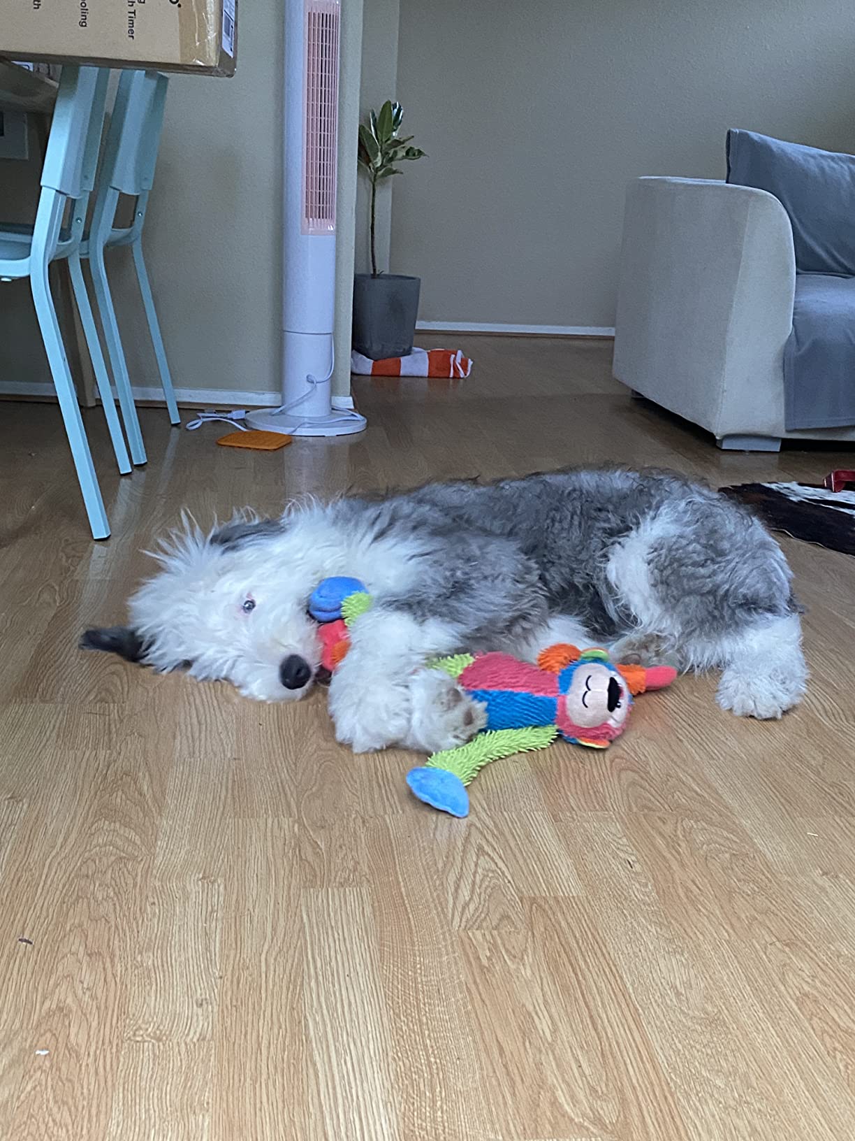 $3/mo - Finance Multipet International DMP37812 Multicrew Monkey Plush ...