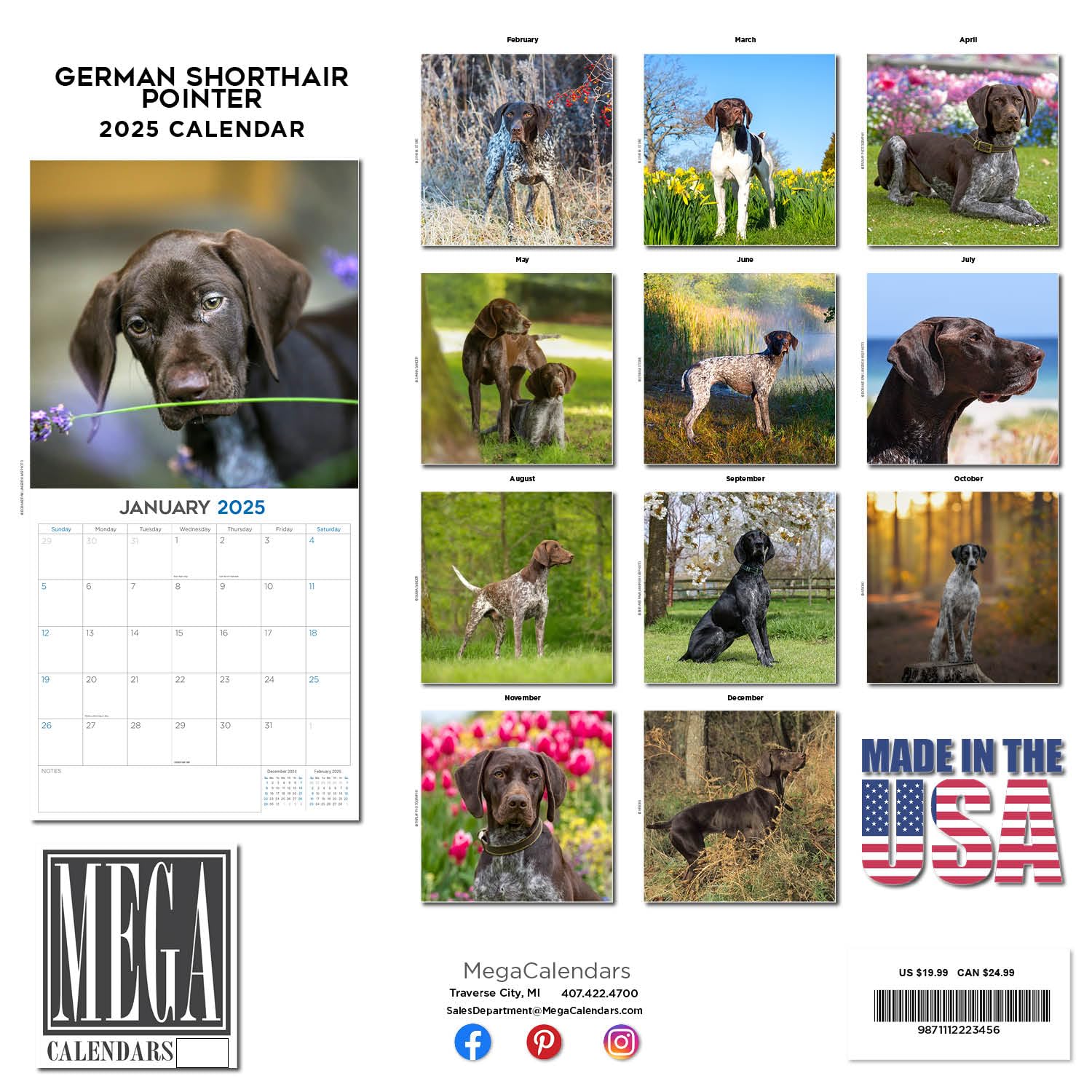 Snapklik.com : 2025 German Shorthaired Pointer Calendar - Dog Breed ...