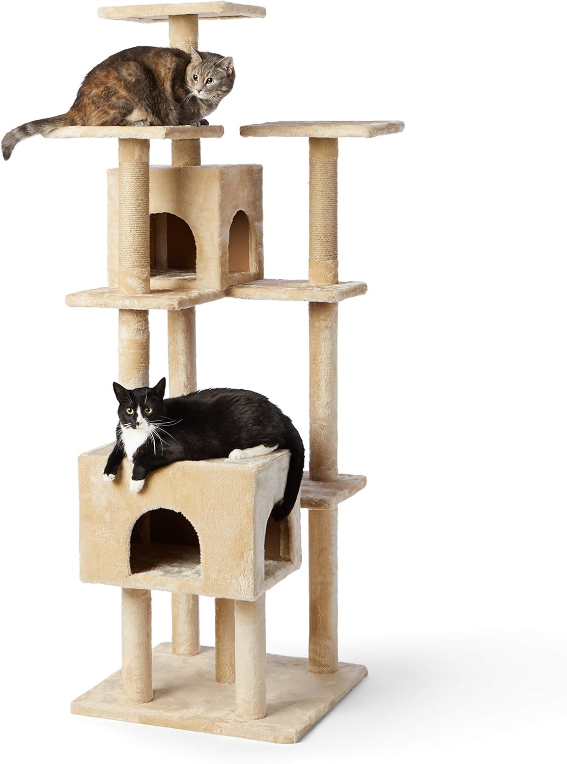 Amazon.com : Amazon Basics Large Cat Condo Tree Tower with Dual Caves ...