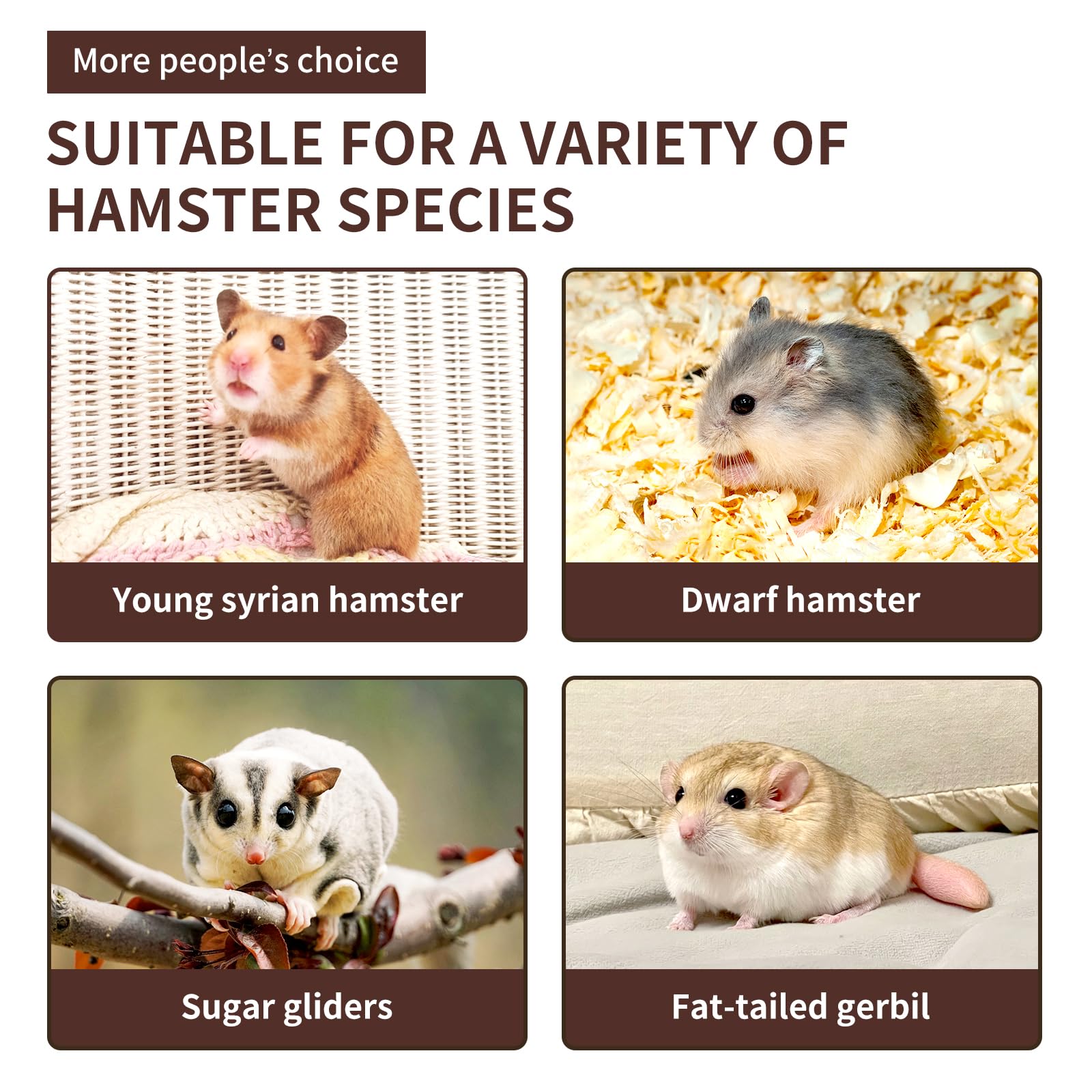 Snapklik.com : HPAWHOMEPART Hamster Maze,Natural Wood Hamster Hideout ...