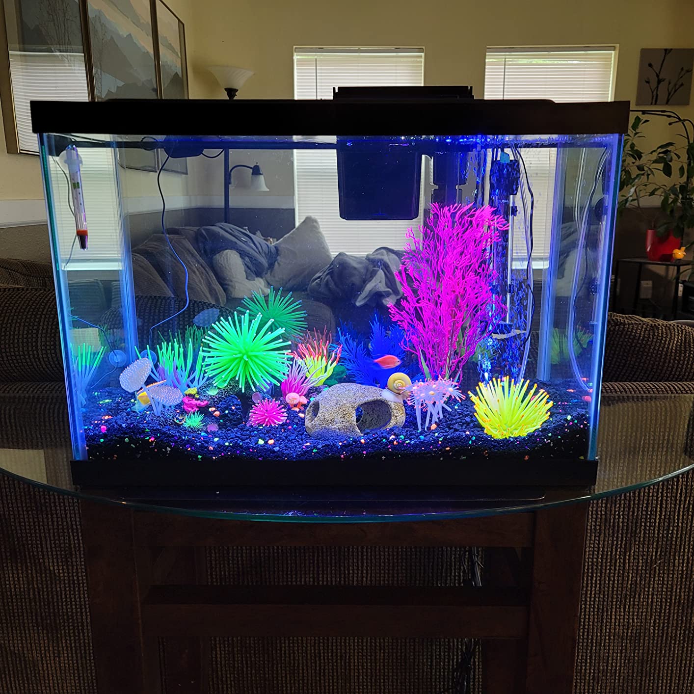 Tetra Aquarium 20 Gallon Fish Tank Kit at Gabrielle Trouton blog