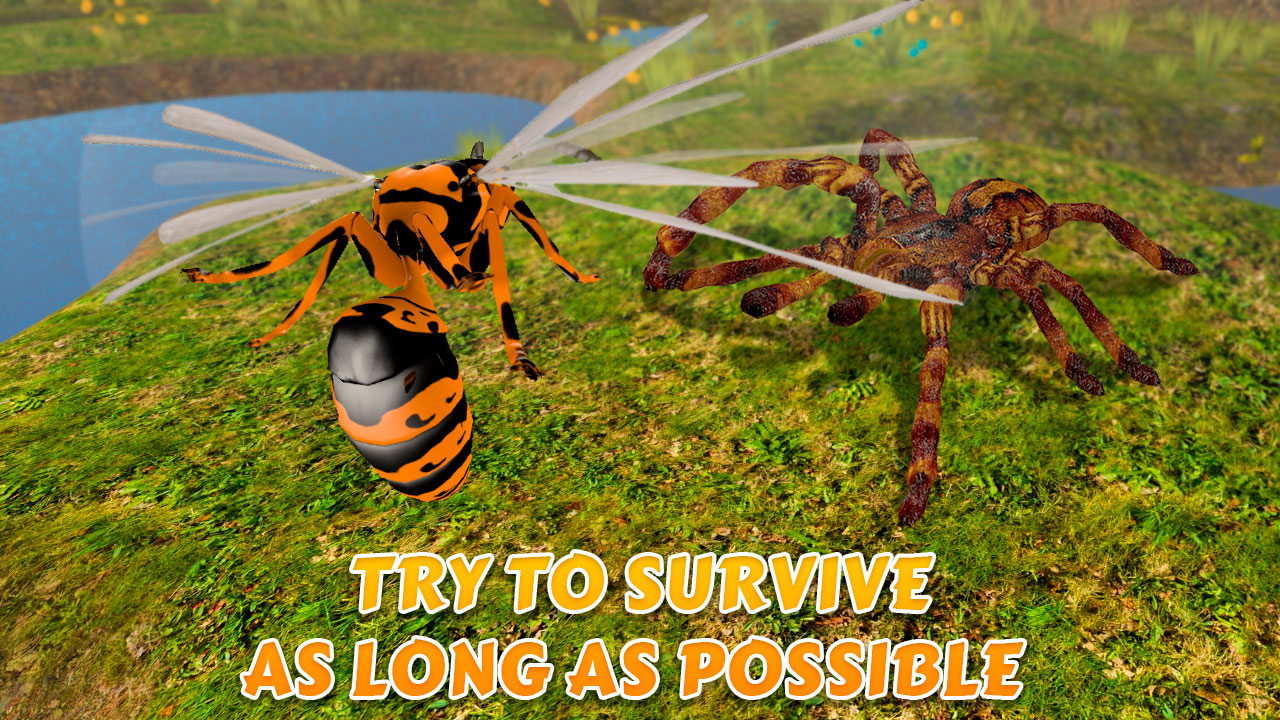 Insect Vision Simulation