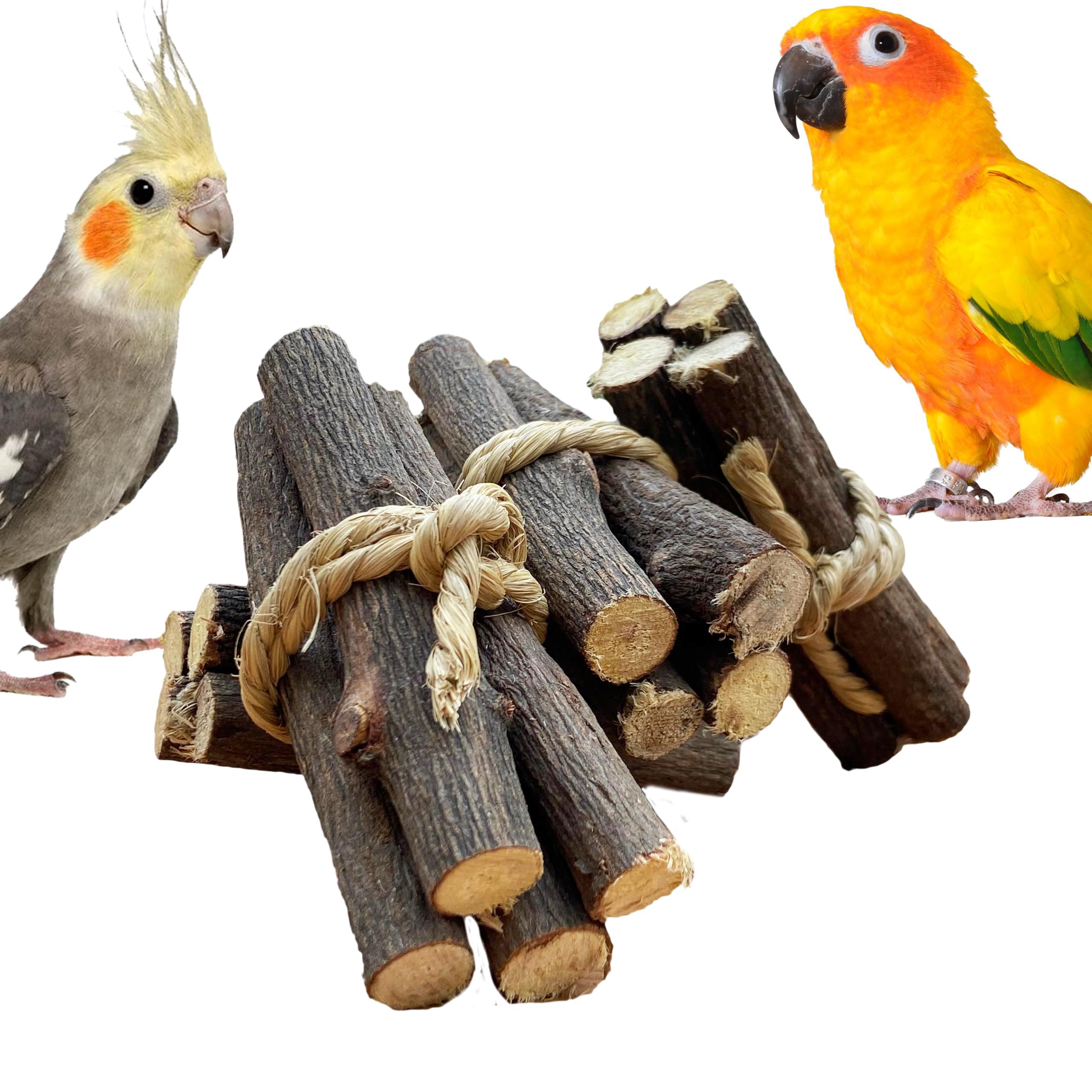 Buy Congo® 5 Pc. Neem Chewing Toy Twigs for Budgies, Cockatiels, Conure ...