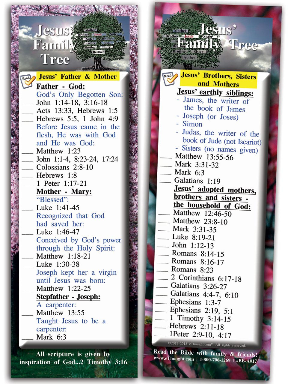 Jesus Relatives His Family Tree Cousin | Definition, Types, & Diagram