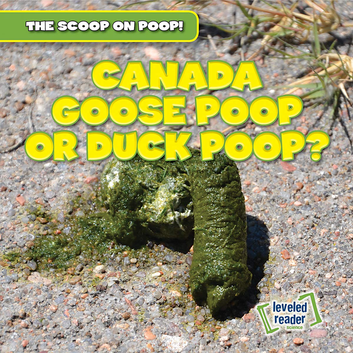 Canada Goose Poop or Duck Poop? (Scoop on Poop): Matthews, Colin ...