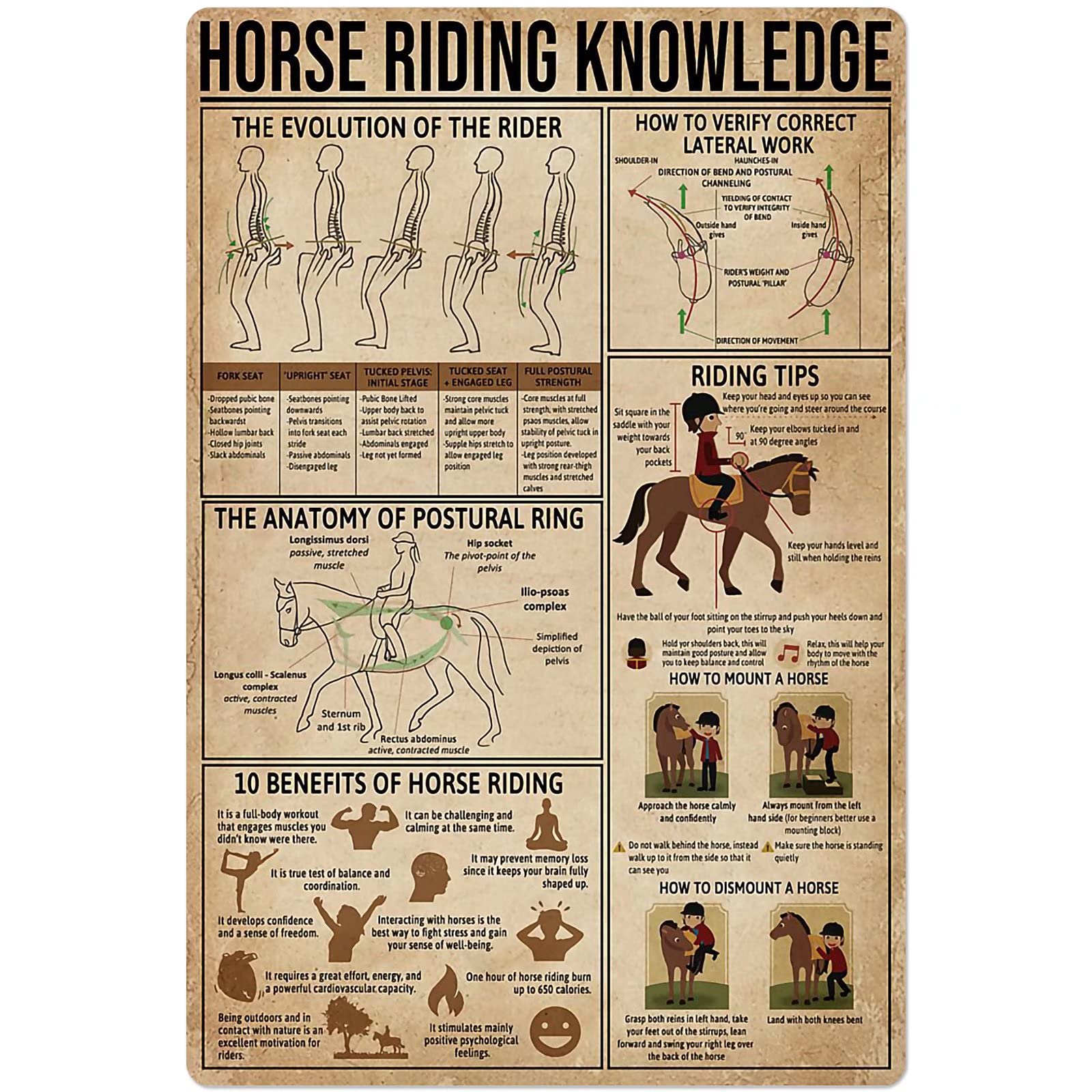 Horseback Riding Hand Signals