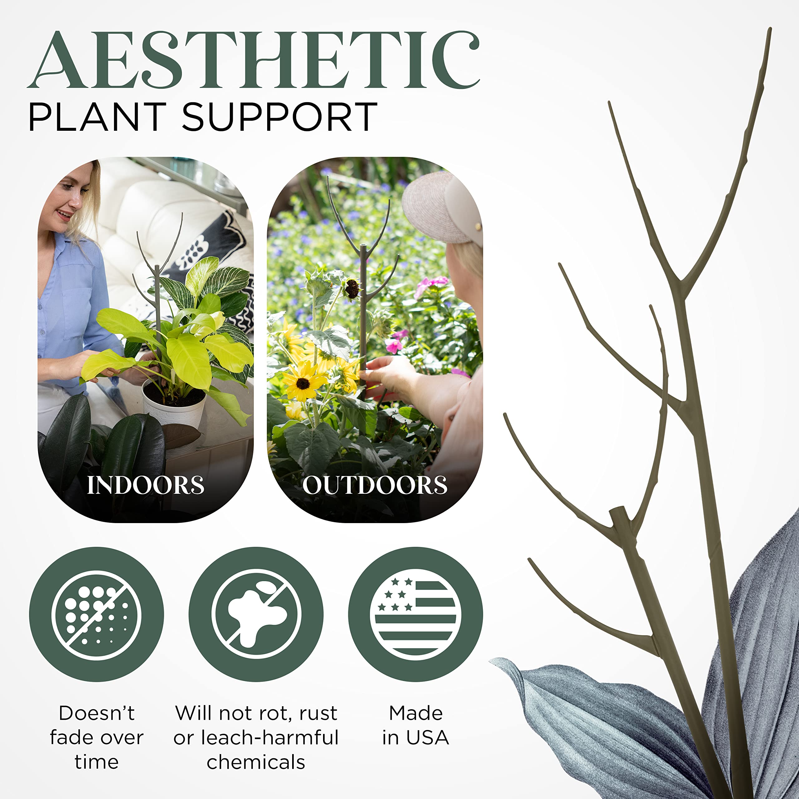 Snapklik.com : Twigs GA - Monstera Show & Grow Pack Great Alternative ...