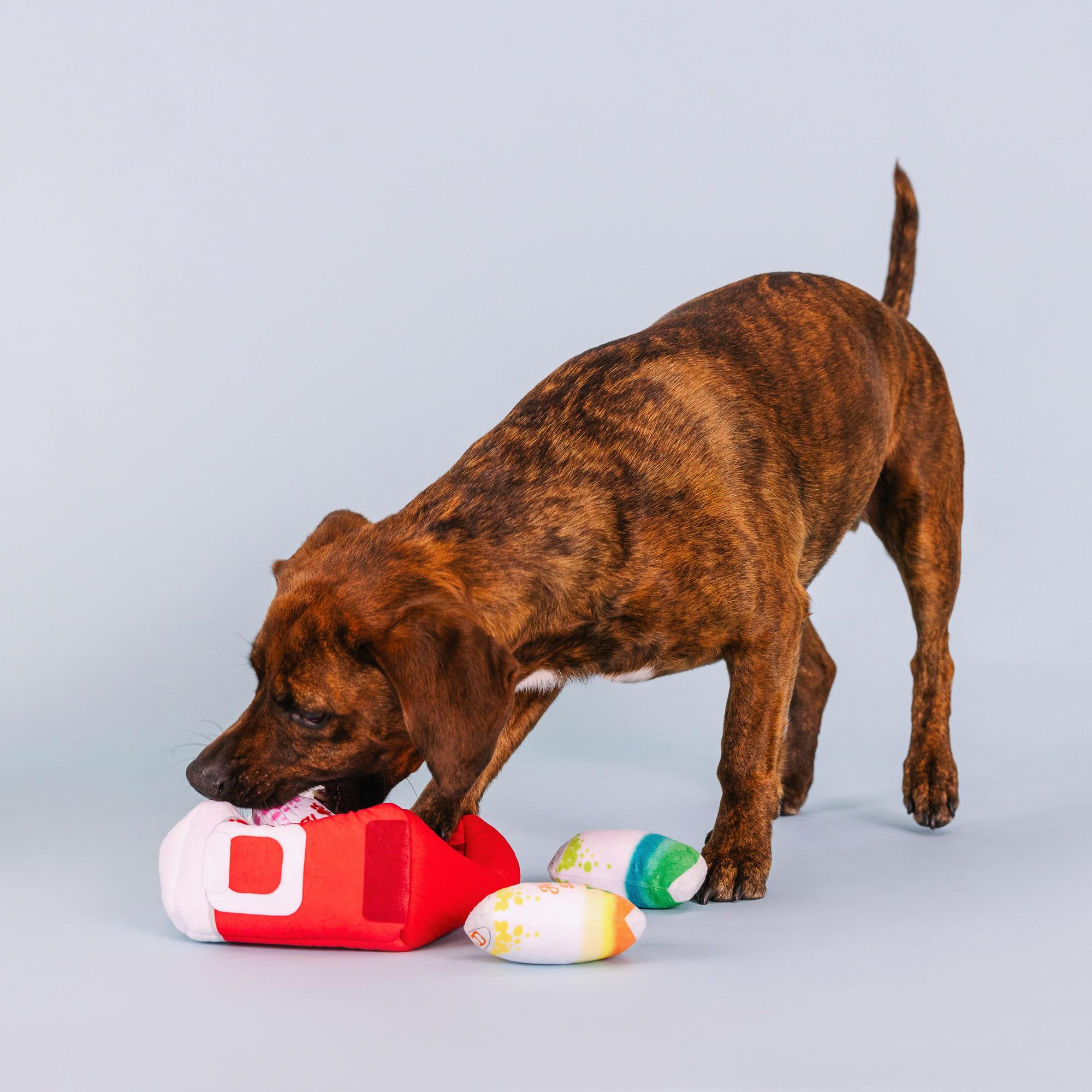 Snapklik.com : Fringe Studio Plush Dog Toy Set, Interactive Hide And ...