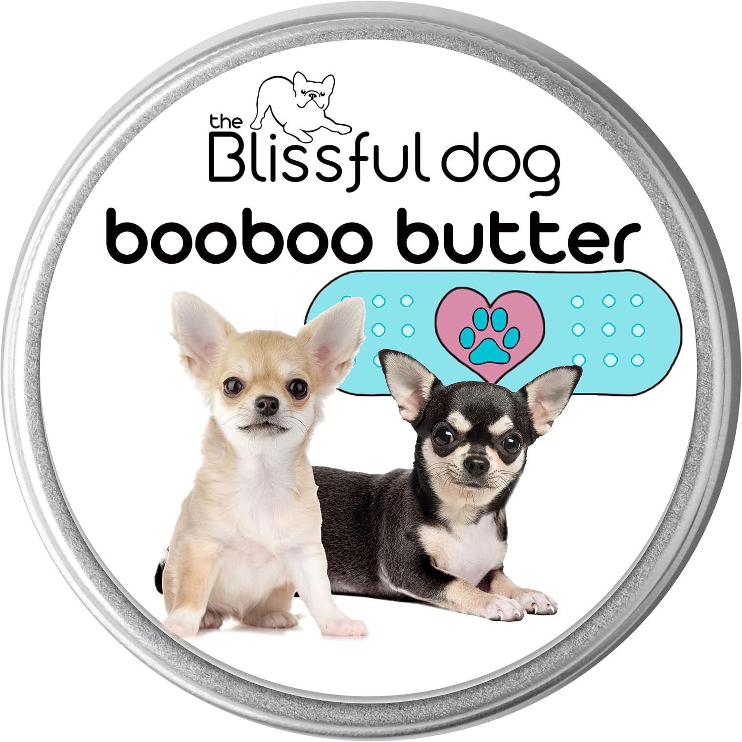 the blissful dog Chihuahua Boo Boo mantequilla – Yaxa Colombia