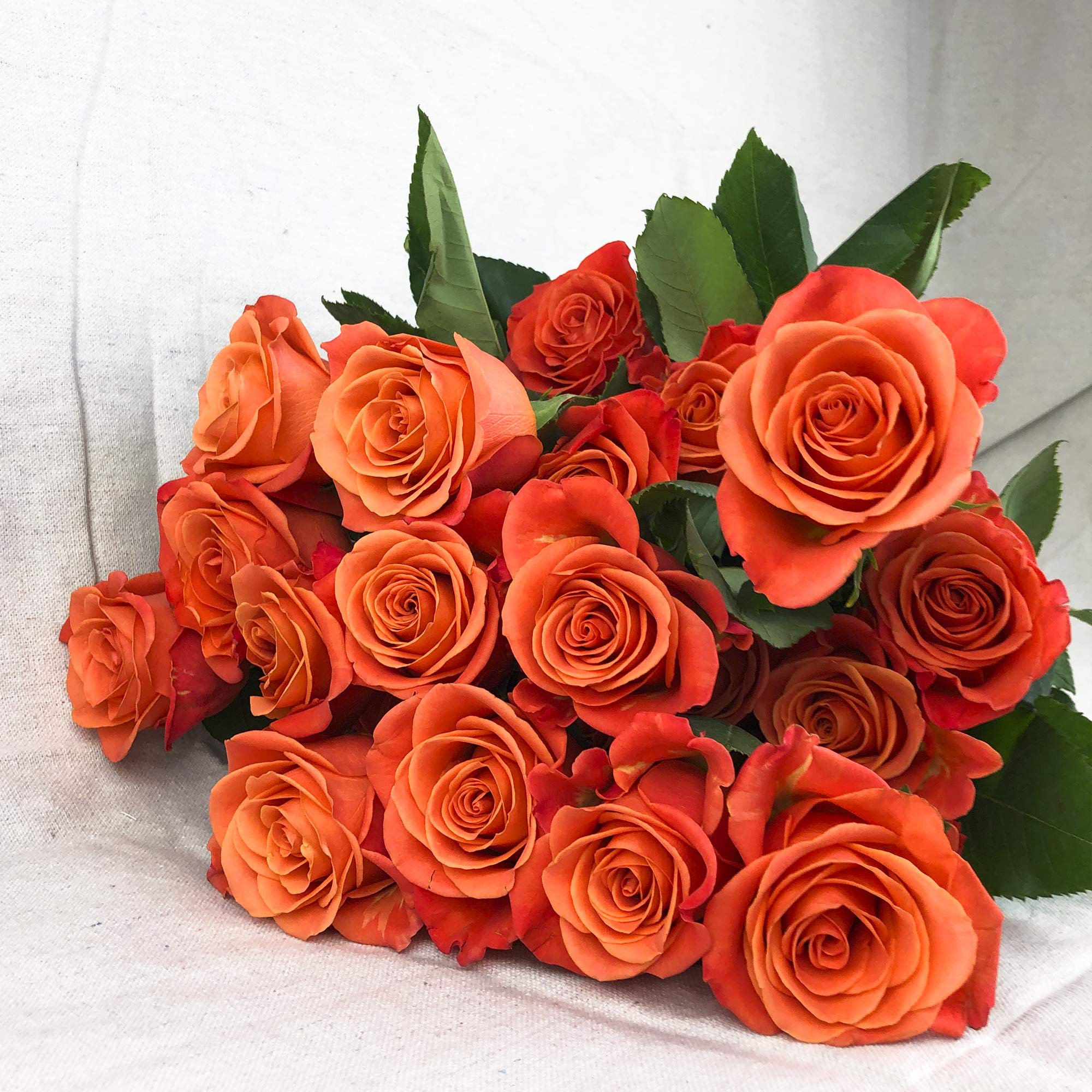 Bunch Of Orange Roses