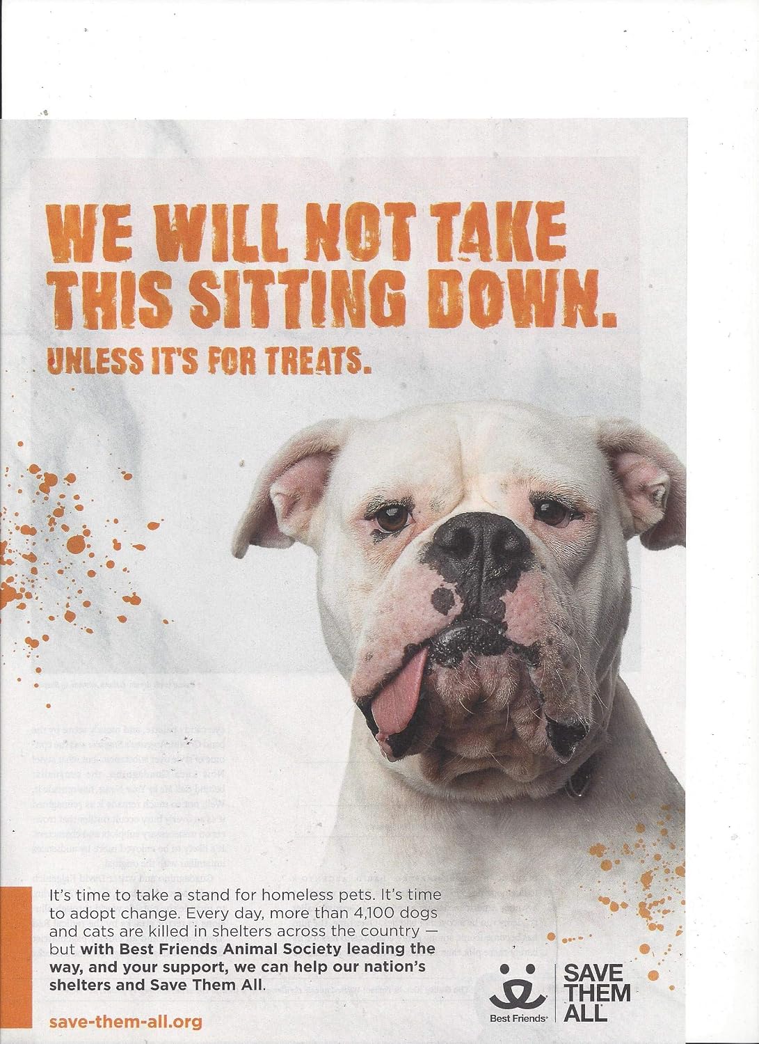 Amazon.com: Magazine PRINT AD For Save Them All Dog Rescue Organization ...