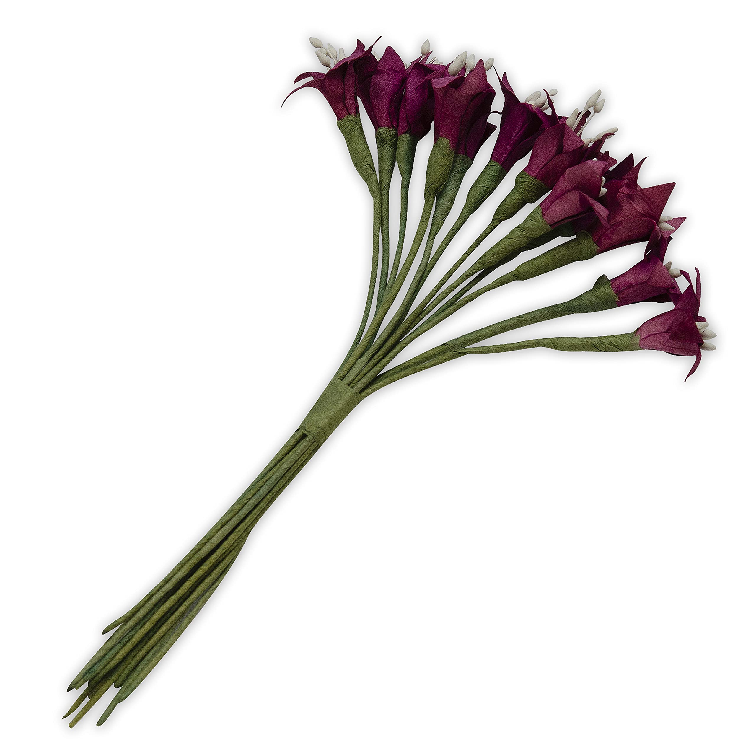 Amazon.com: Expo International Vintage Bridal Parchment Flowers Tulle ...