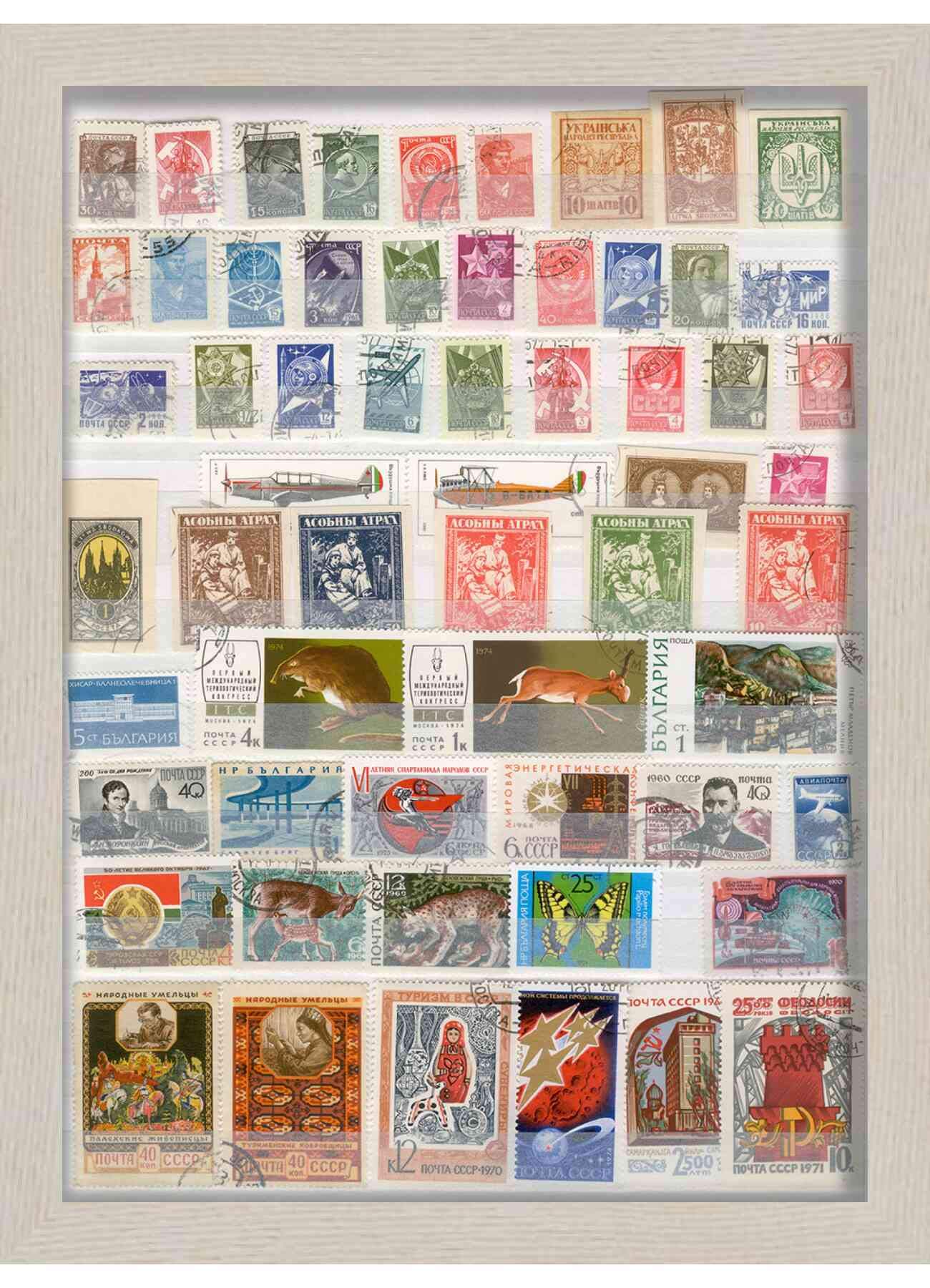 Amazon.com - 30x40 White Shadow Box Frame - Shadow Box Frame Interior ...