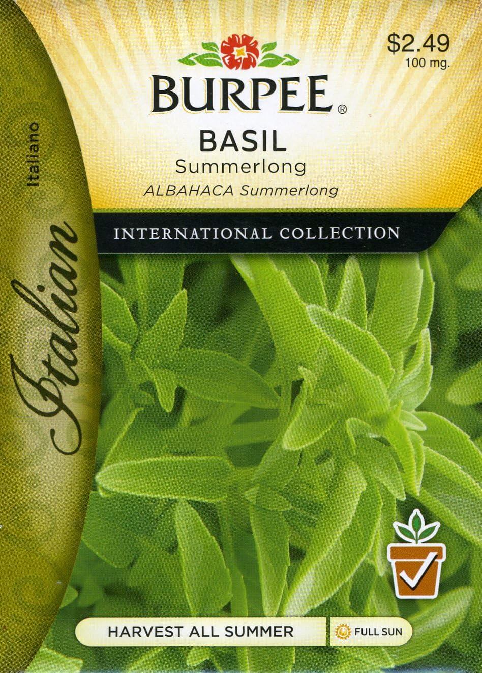Amazon.com : Burpee Herb Basil Sumerlong 69678 (Green) 50 Seeds : Herb ...
