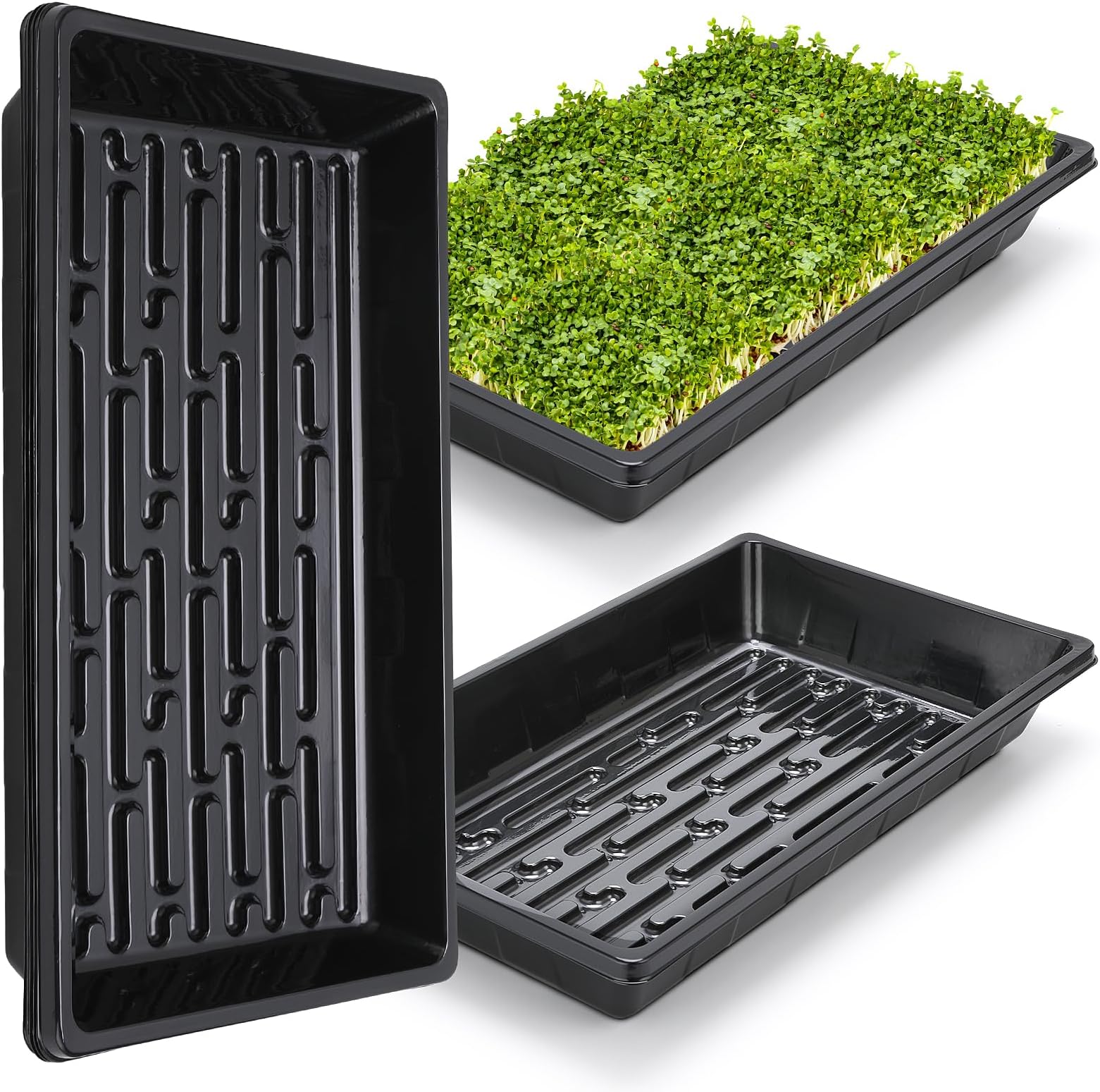 Amazon.com : Wild Green Fingers 10 Seed Starting Plant Growing Trays ...