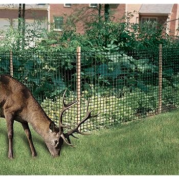 Amazon.com : Dewitt DDF7100 Deer Fence Netting, 100-Feet Length ...