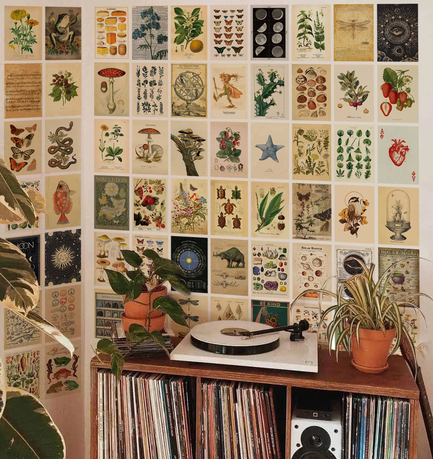 Vintage Bird Prints 70pcs Dark Academia Decor Wall Collage Kit ...