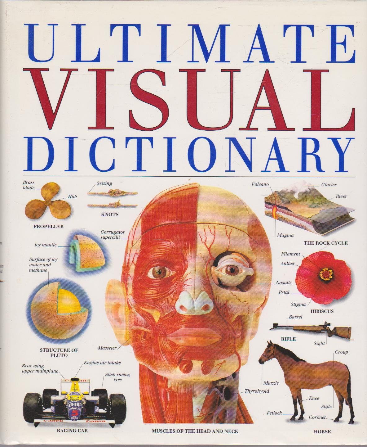 Amazon | Ultimate Visual Dictionary | DK Publishing | Dictionaries ...