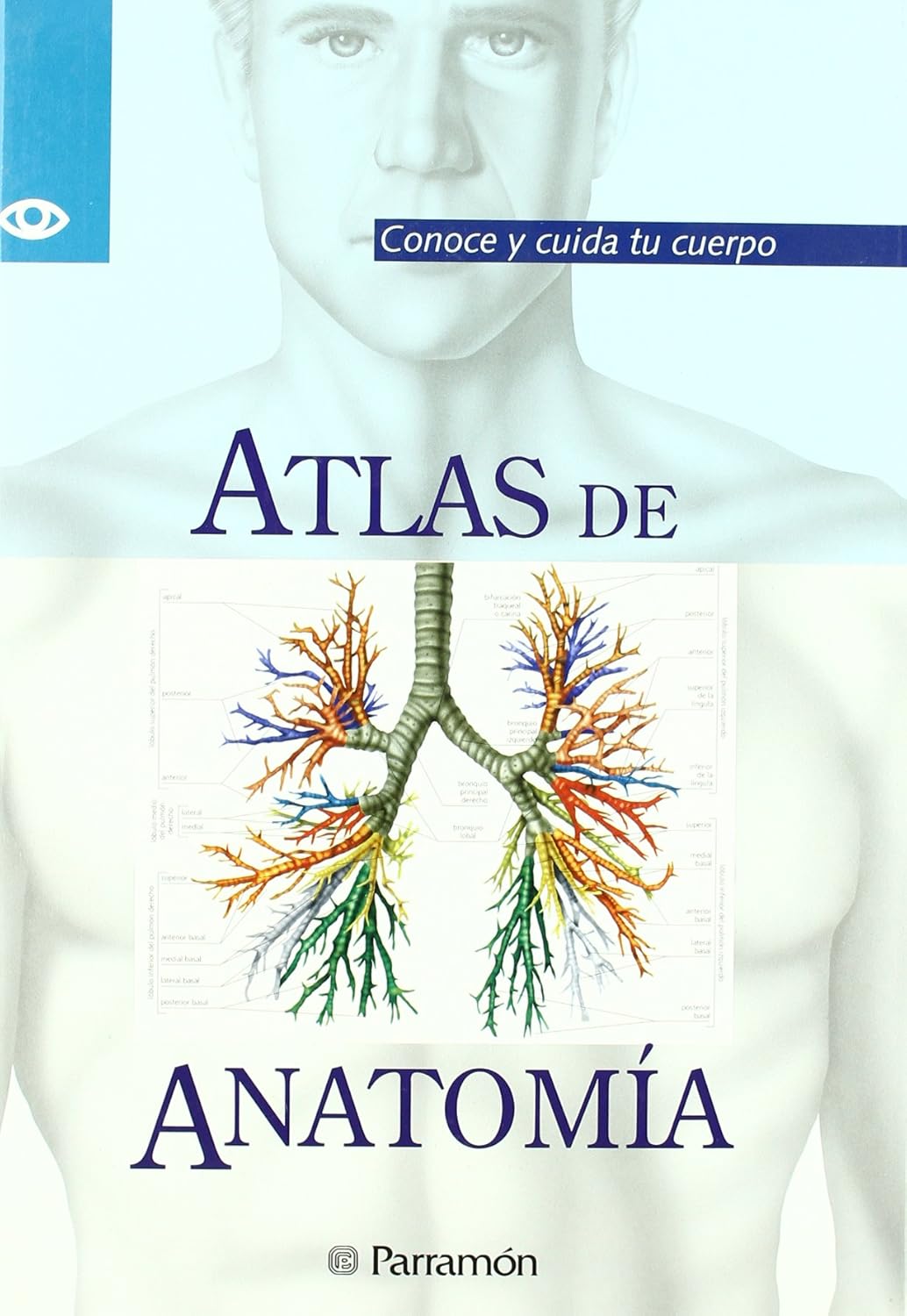 Atlas De Anatomia/Atlas of Anatomy: Conoce Y Cuida Tu Cuerpo : Tenllado ...