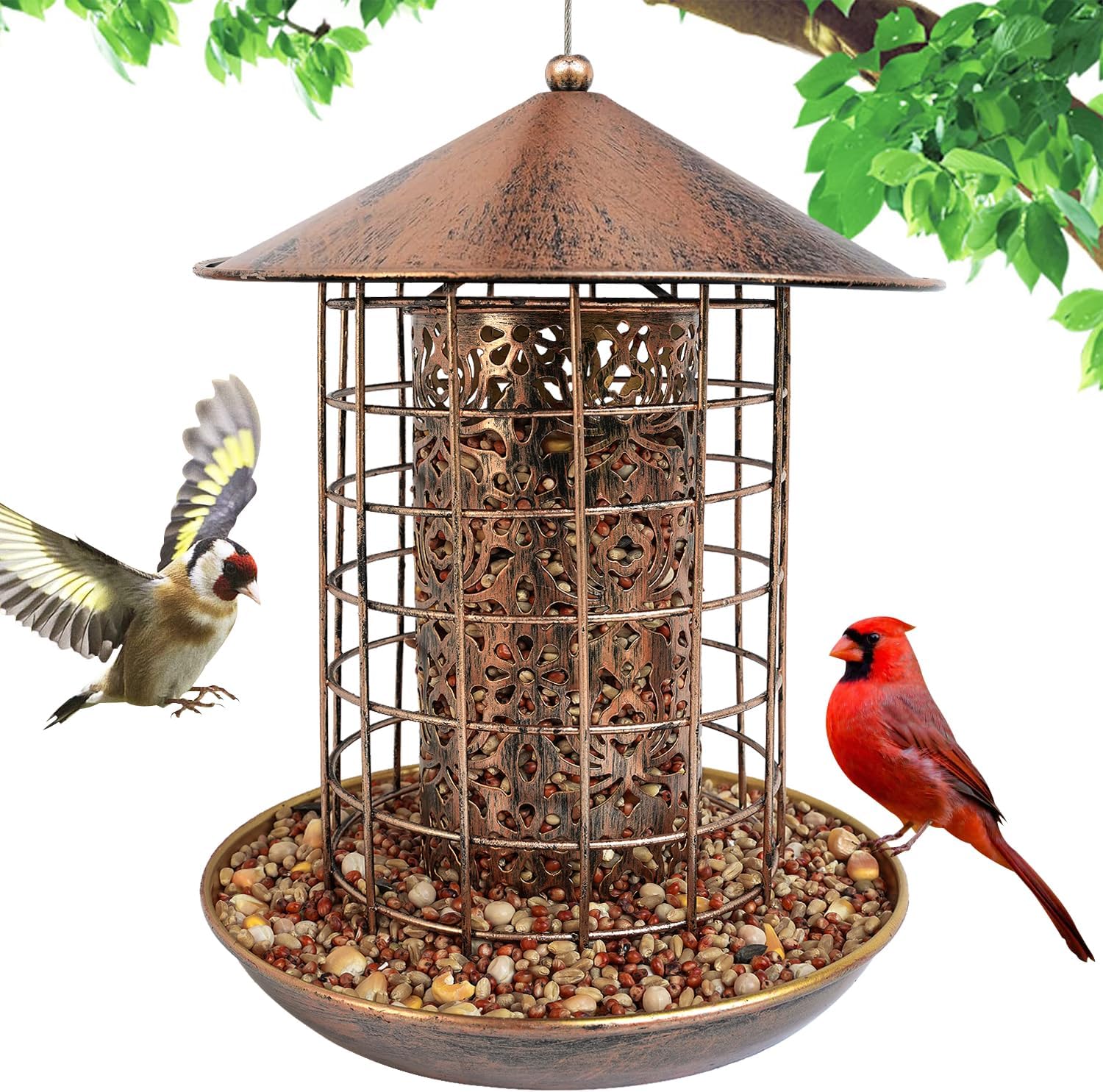 Amazon.com : Rnyloas Caged Bird Feeder, Heavy Duty Metal Bird Feeder ...