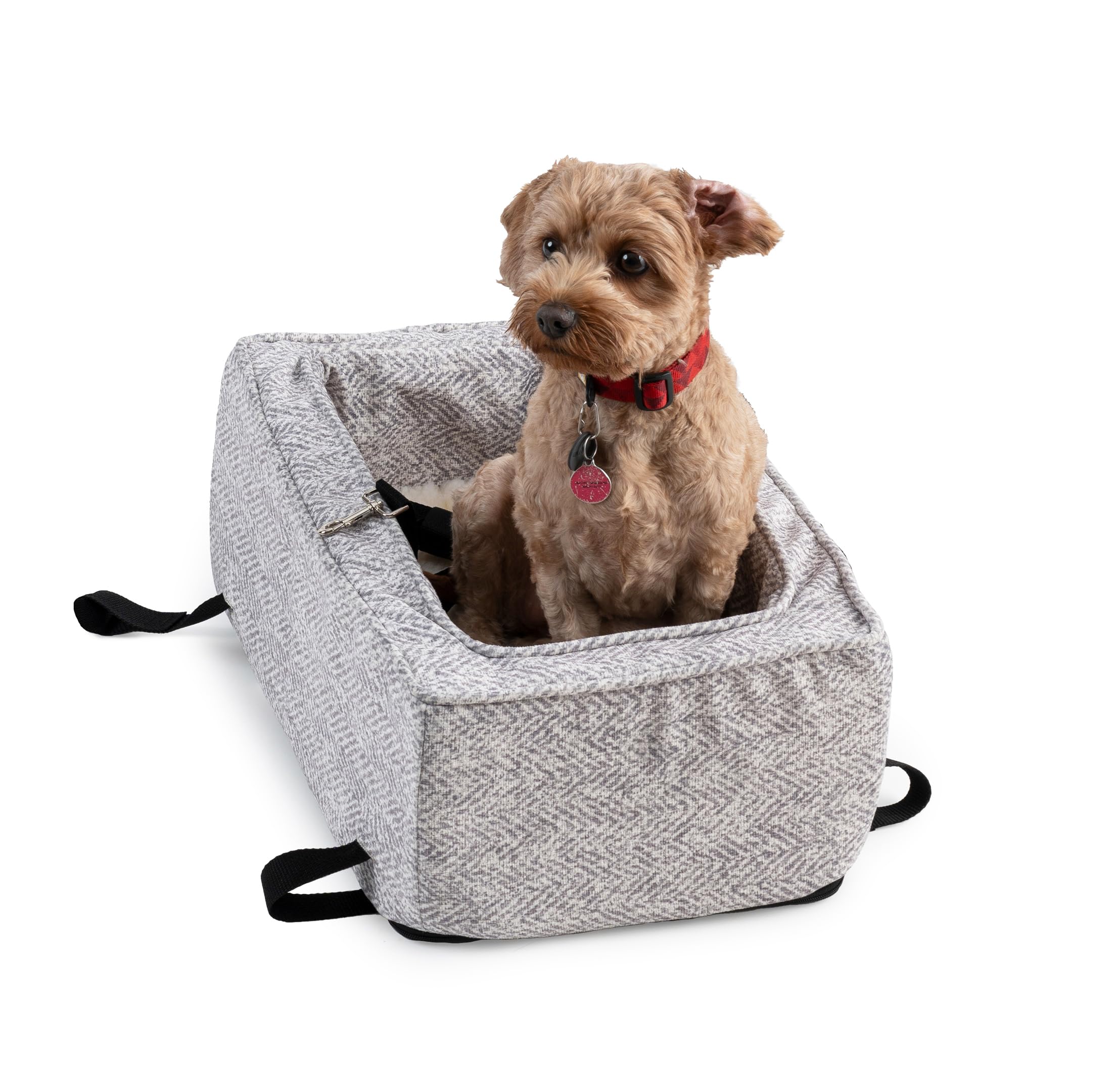 Large Dog Backpack Custom Dog Backpack Carrier - Front Facing With Name ...