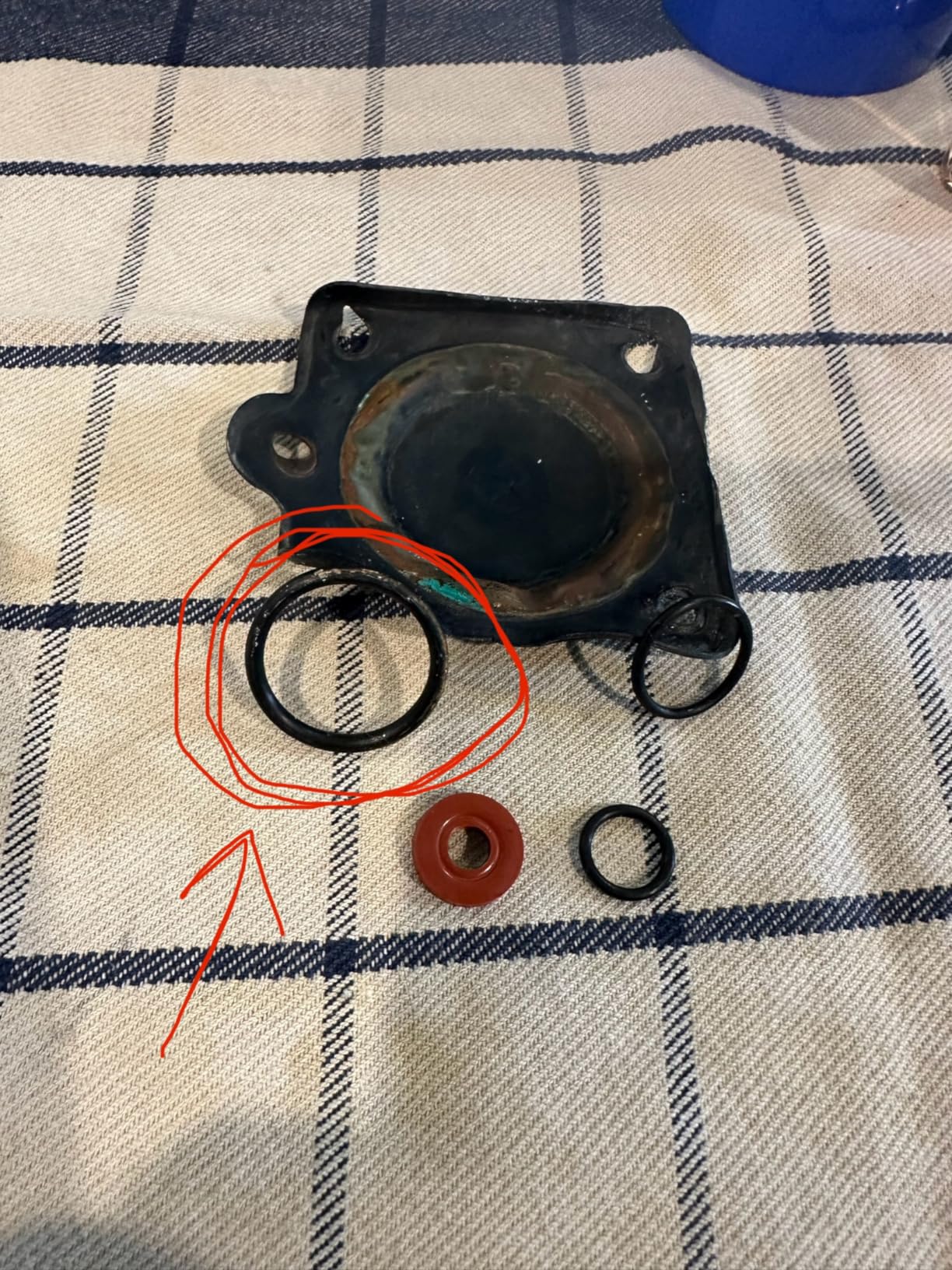 Apollo Backflow Preventer Repair Kit 40003A4: Amazon.com: Industrial ...