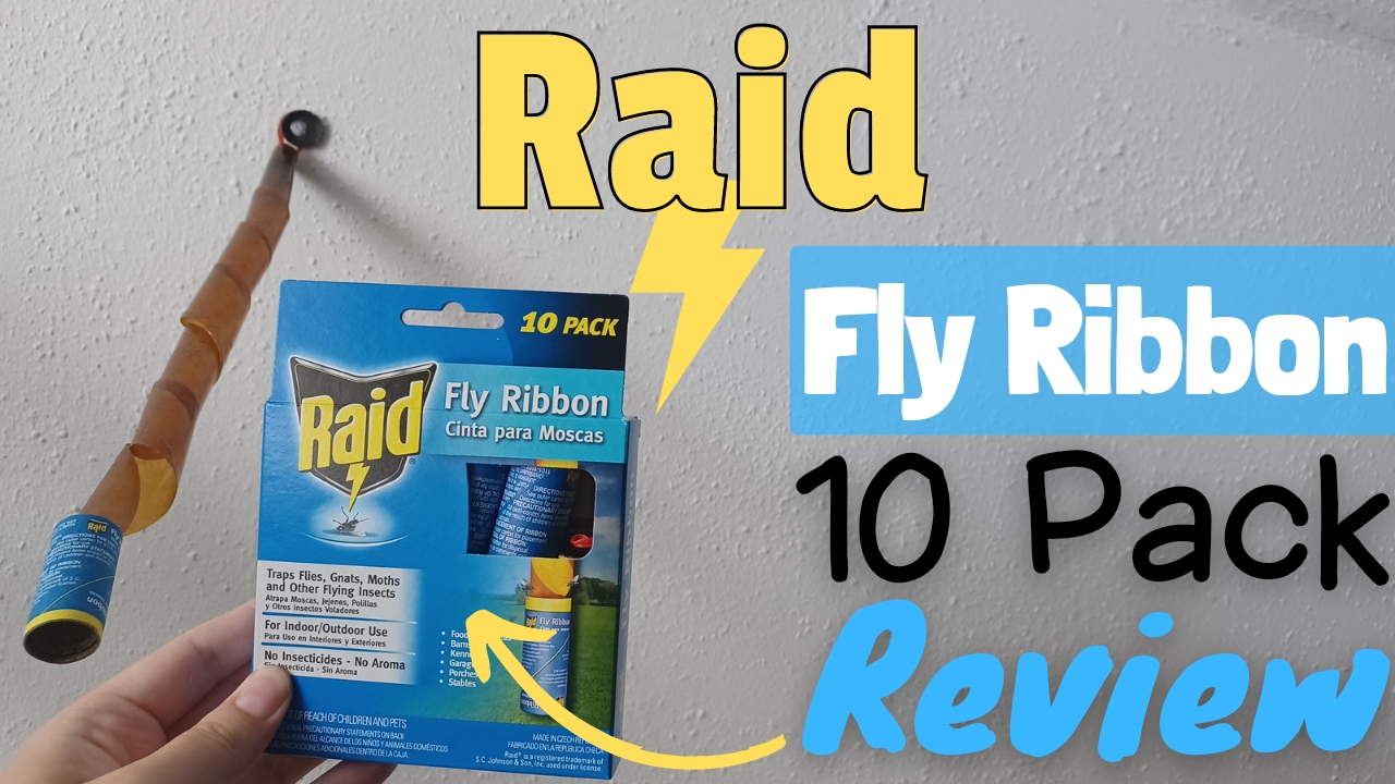 Watch Raid Fly Ribbon 10 Count Review on Amazon Live